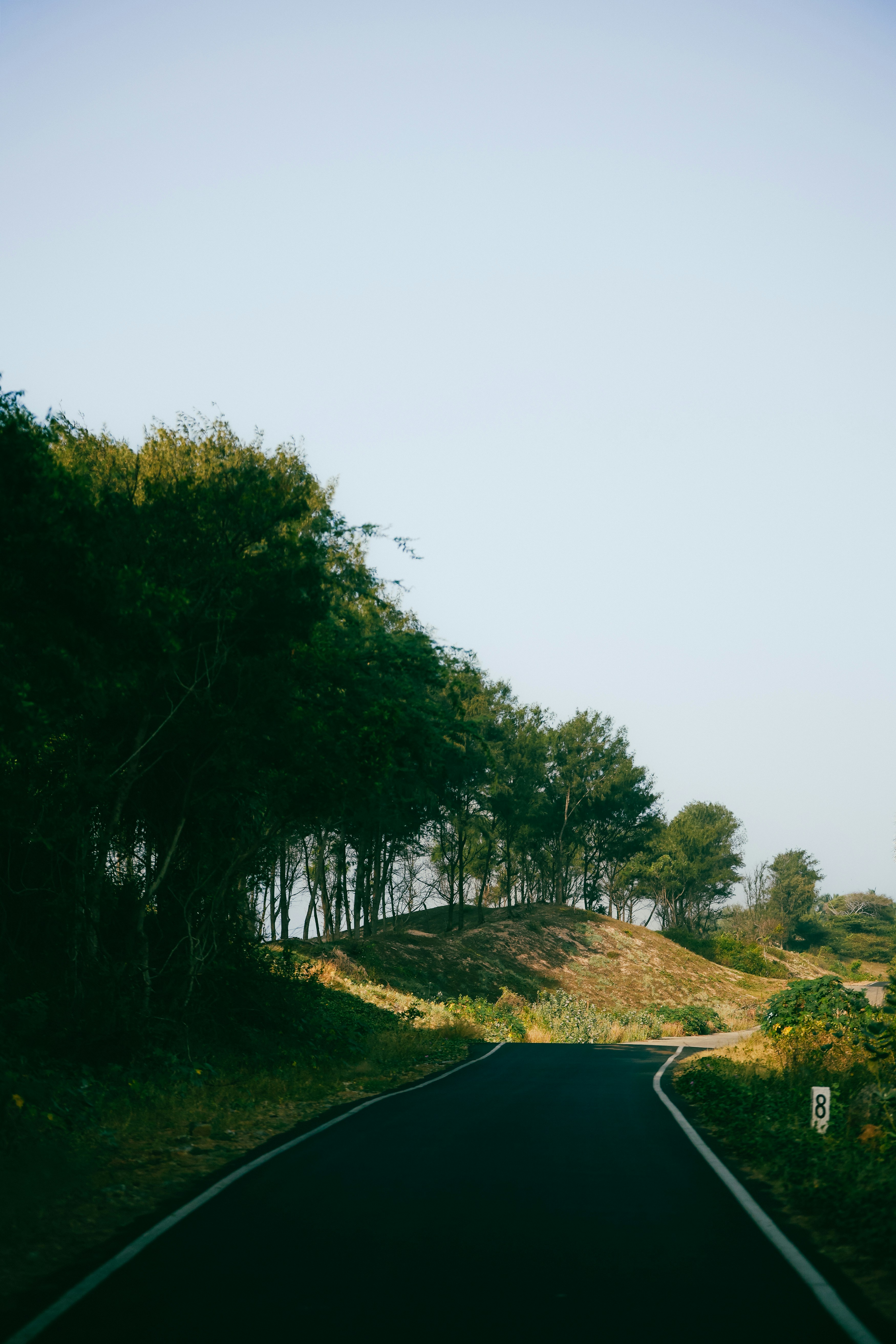 Winding Road into the Hills: A Quiet Journey Through Dappled Light