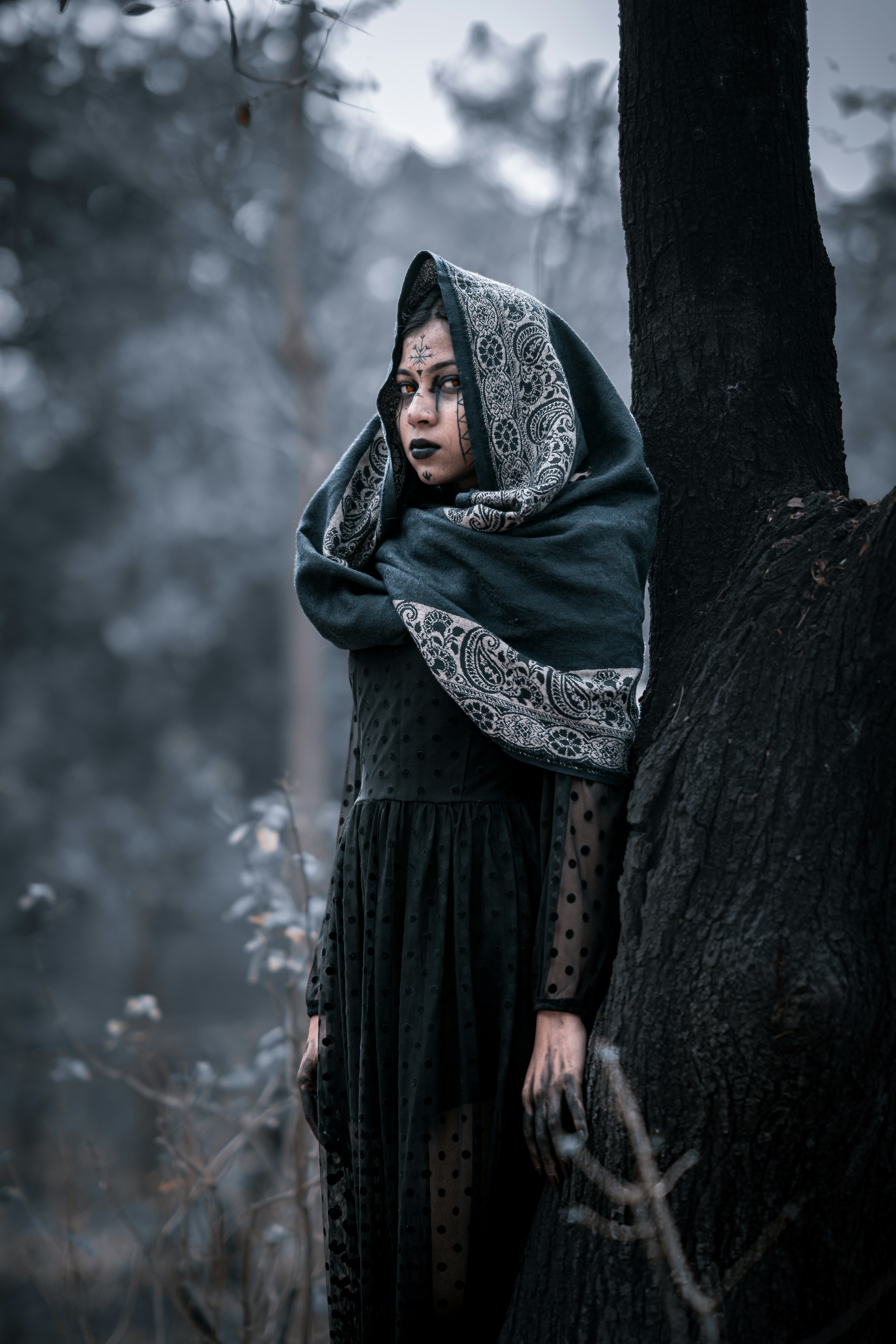 Veiled in Shadow: Ghostly Elegance in a Winter Forest