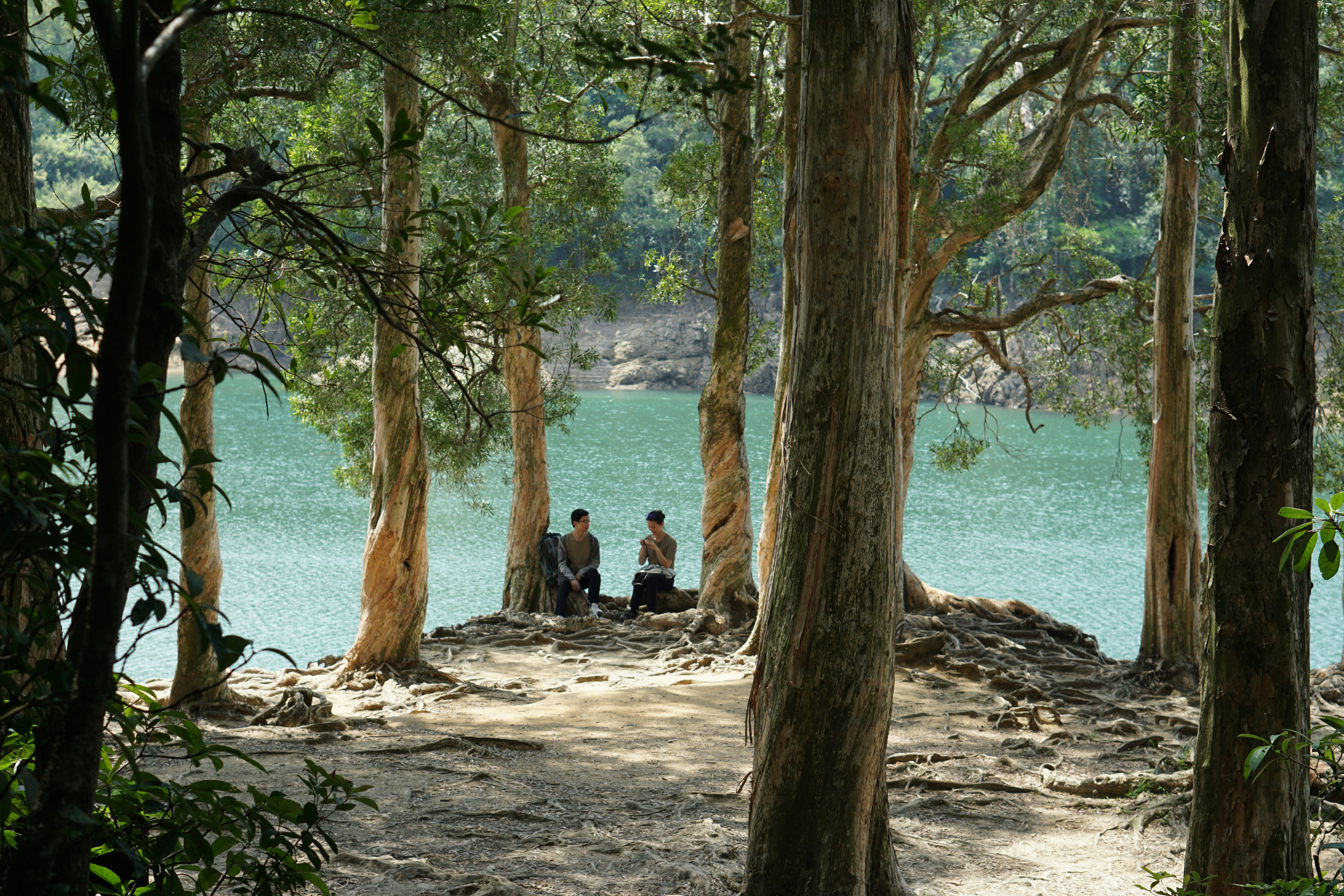 Quiet Clearing by the Turquoise Lake