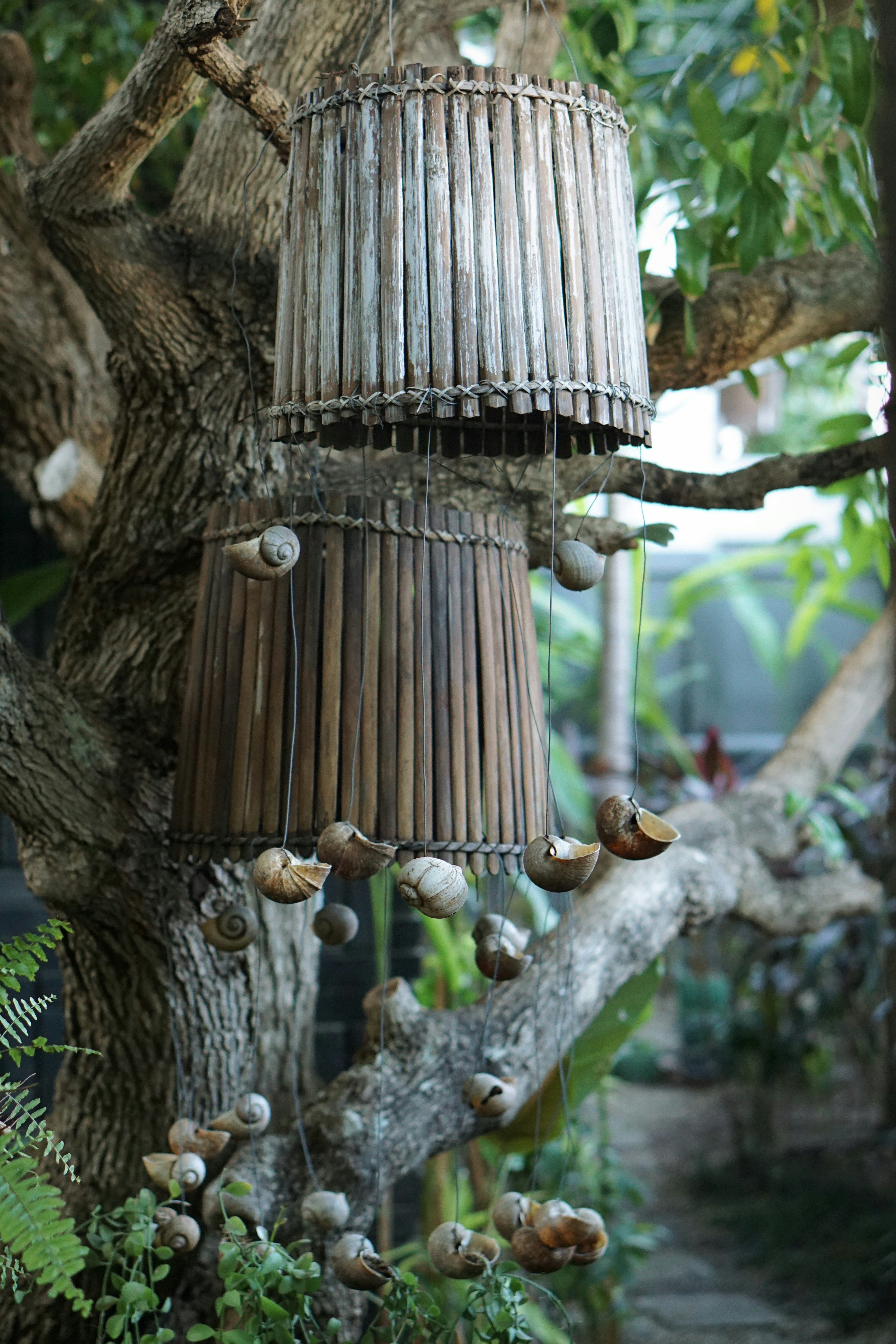 Nest of Wood and Whimsy: A Delicate Birdhouse Scene in Foliage