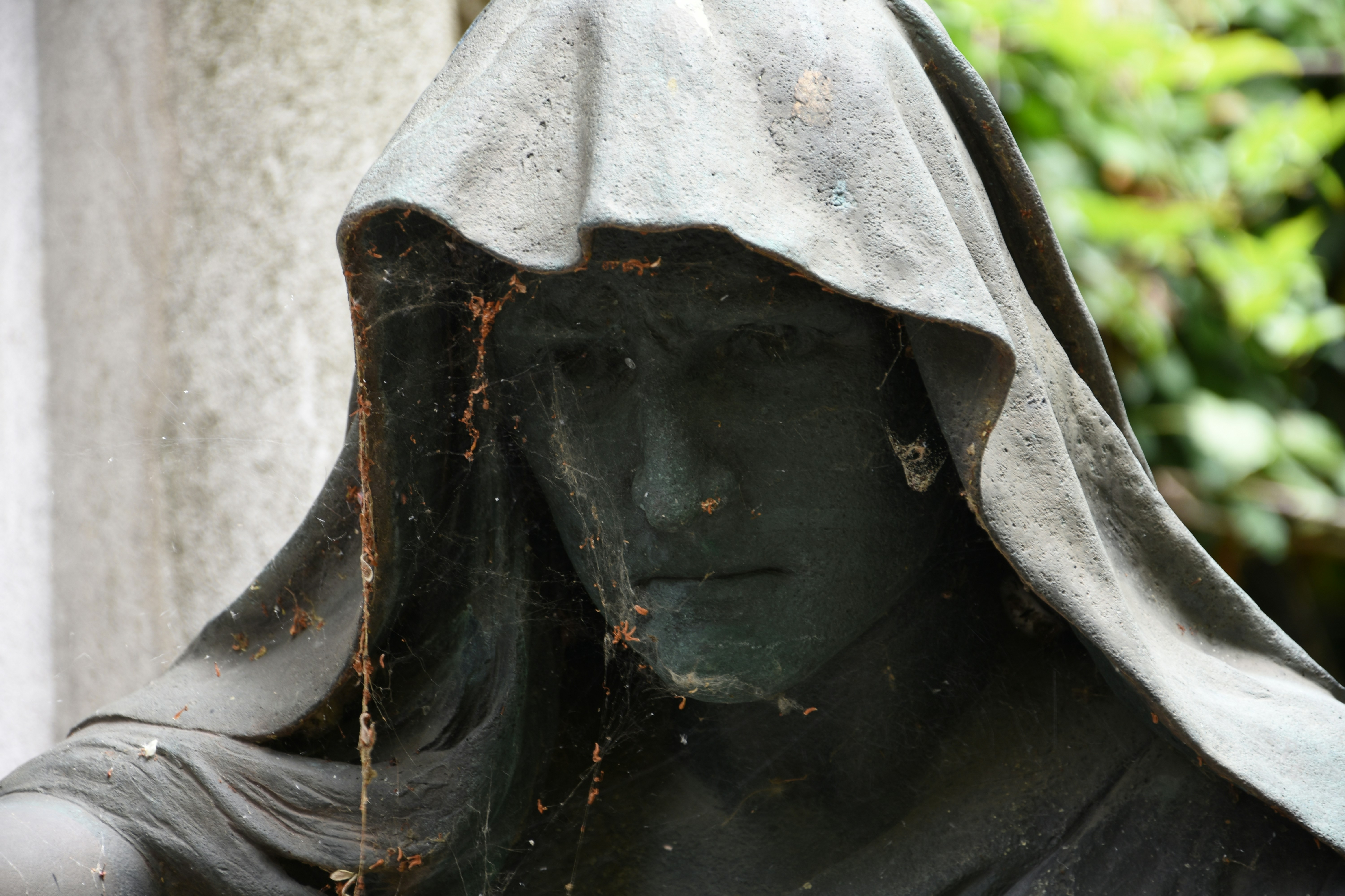 Veiled Guardian: A Crumbling Hood Over a Silent Figure