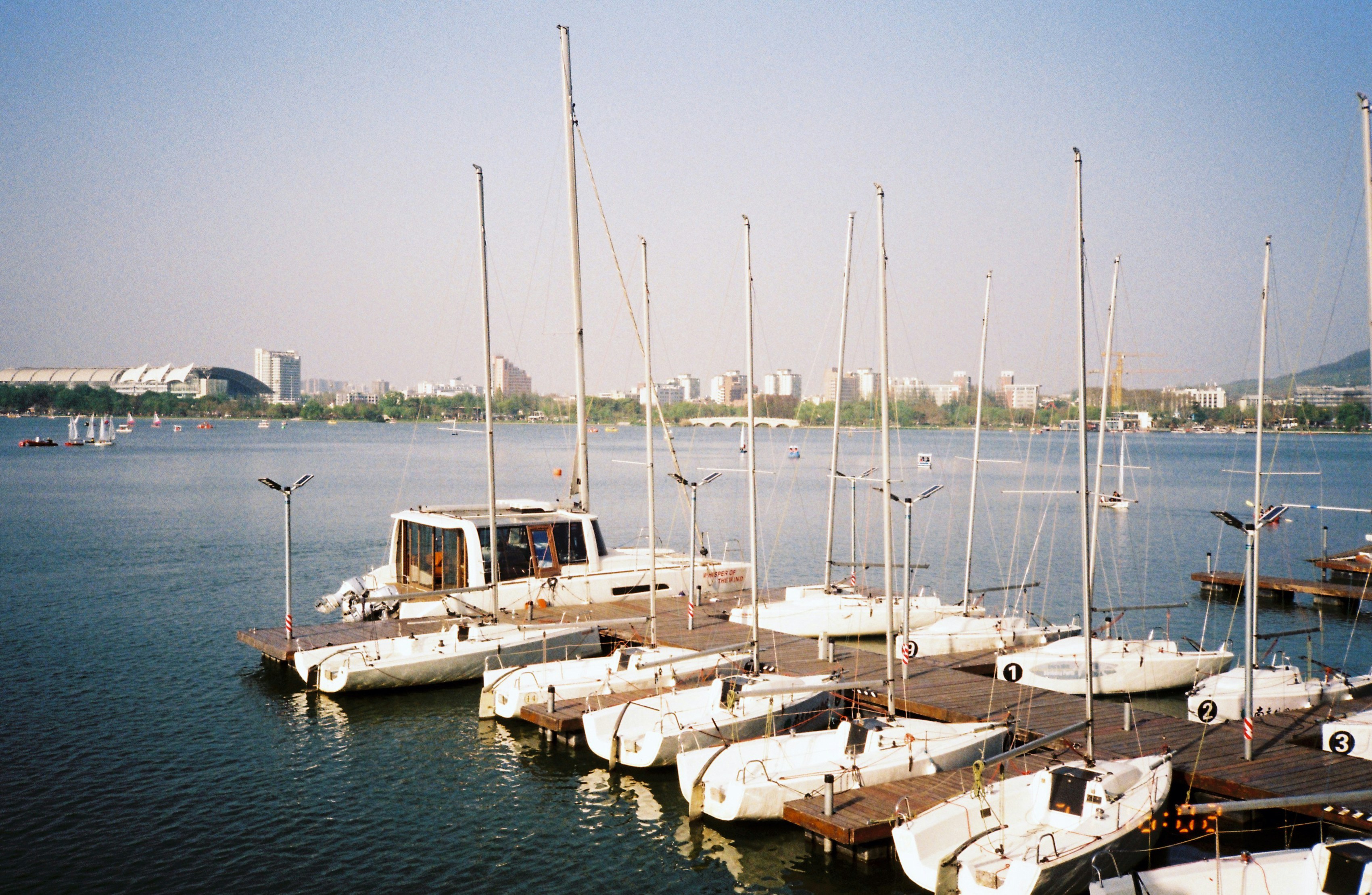 Marina Quiet: Fleet of Sails resting at Dusk