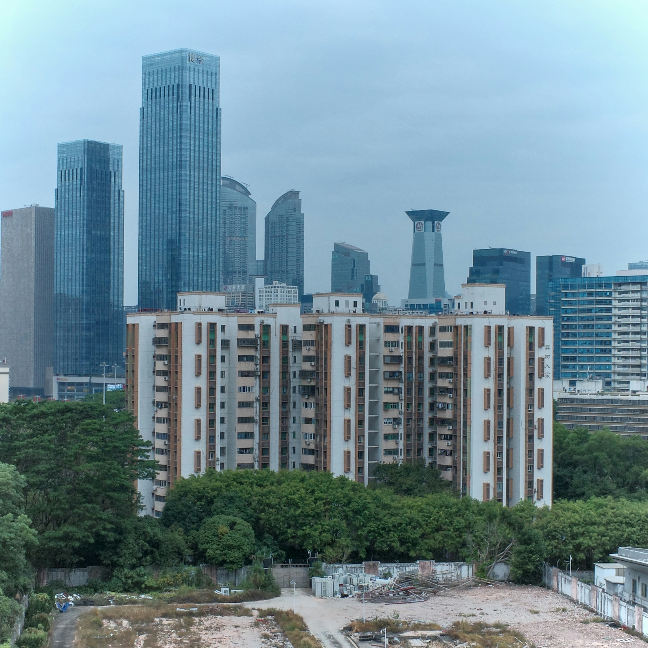 Midtown Silence: Concrete Towers Behind a Park Valley
