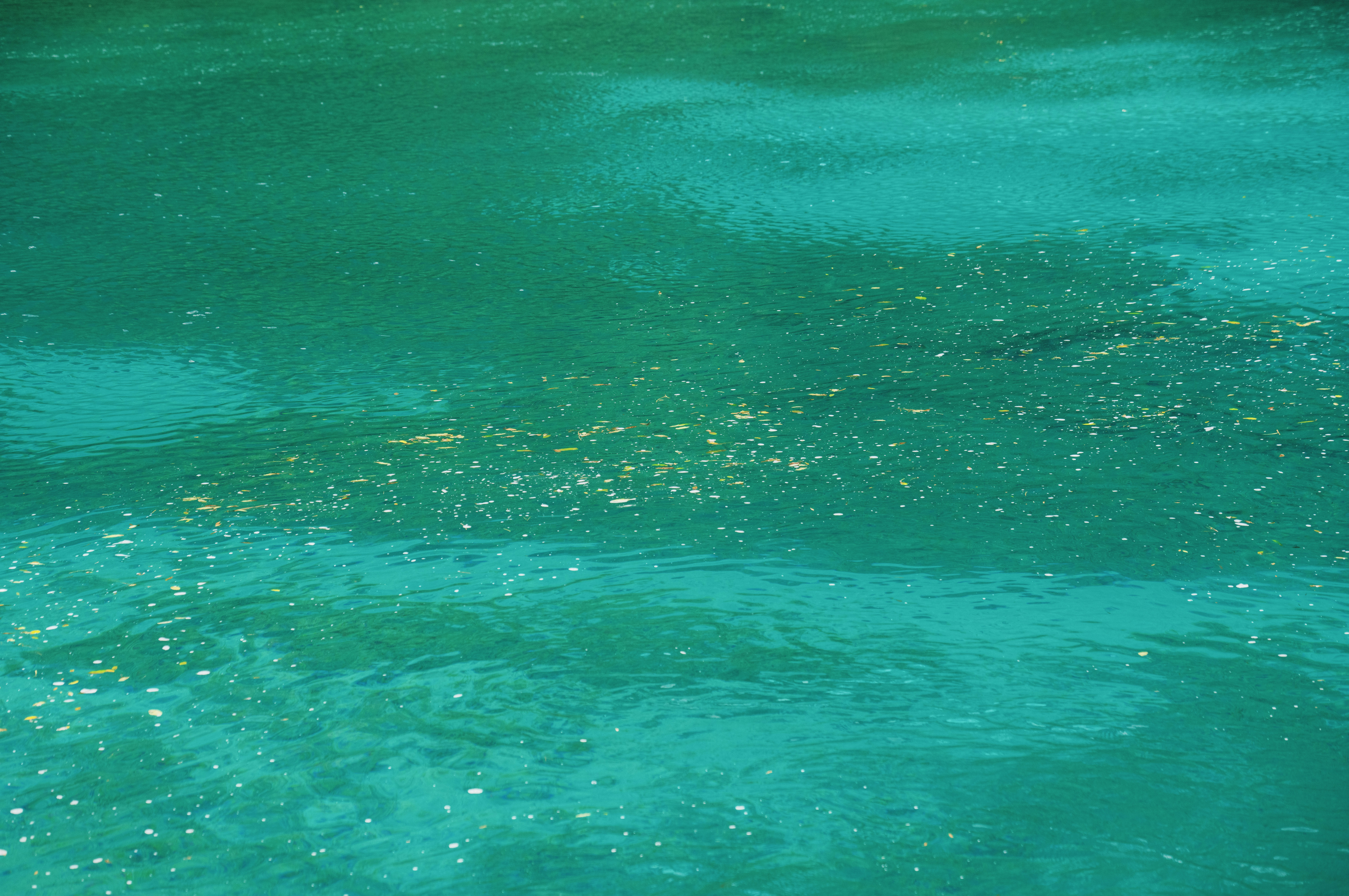 Turquoise Ripples: Sunlit Shimmer on Quiet Coastal Waters