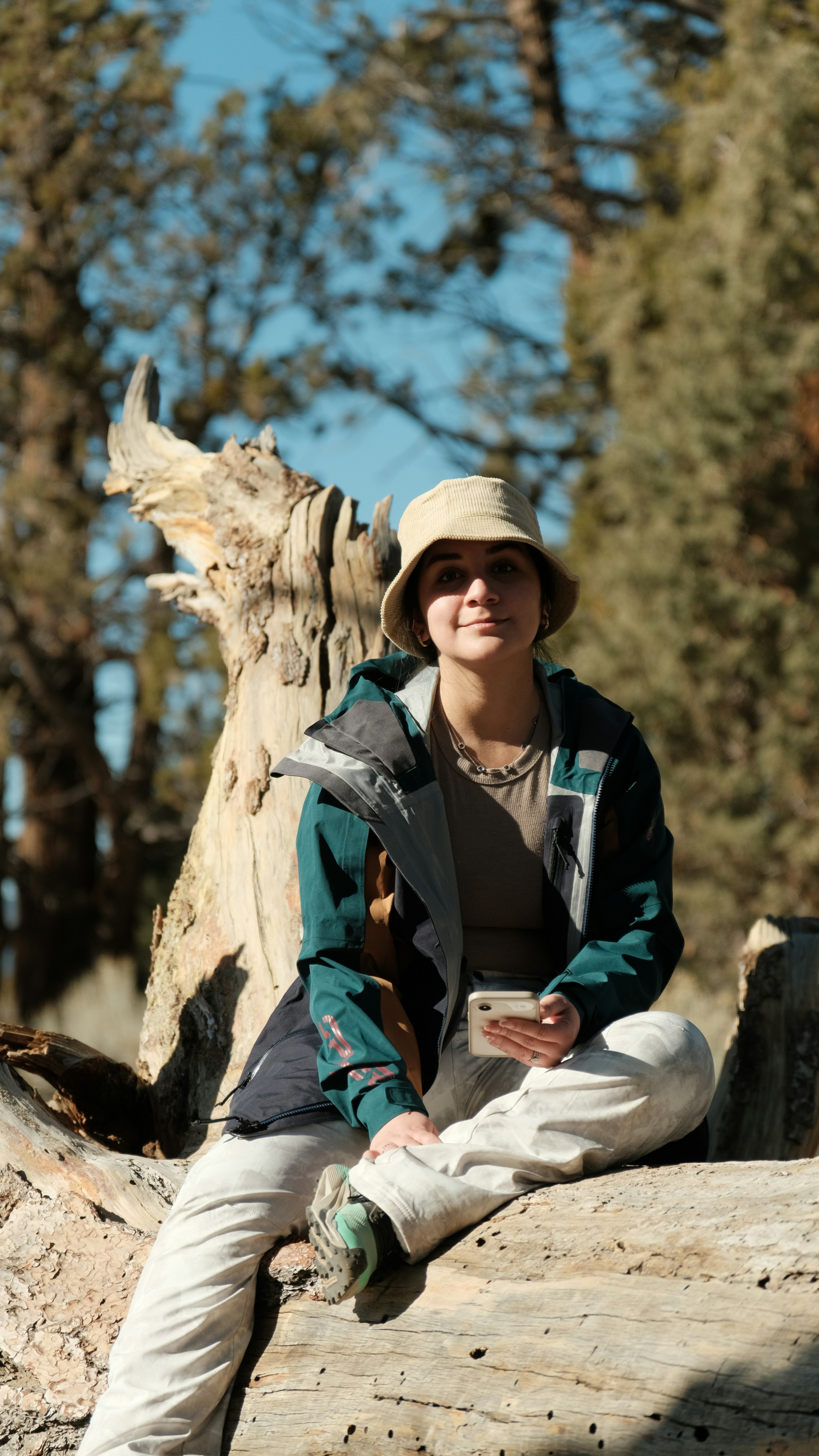 Girl on a Sunlit Log: Quiet Moment with a Phone