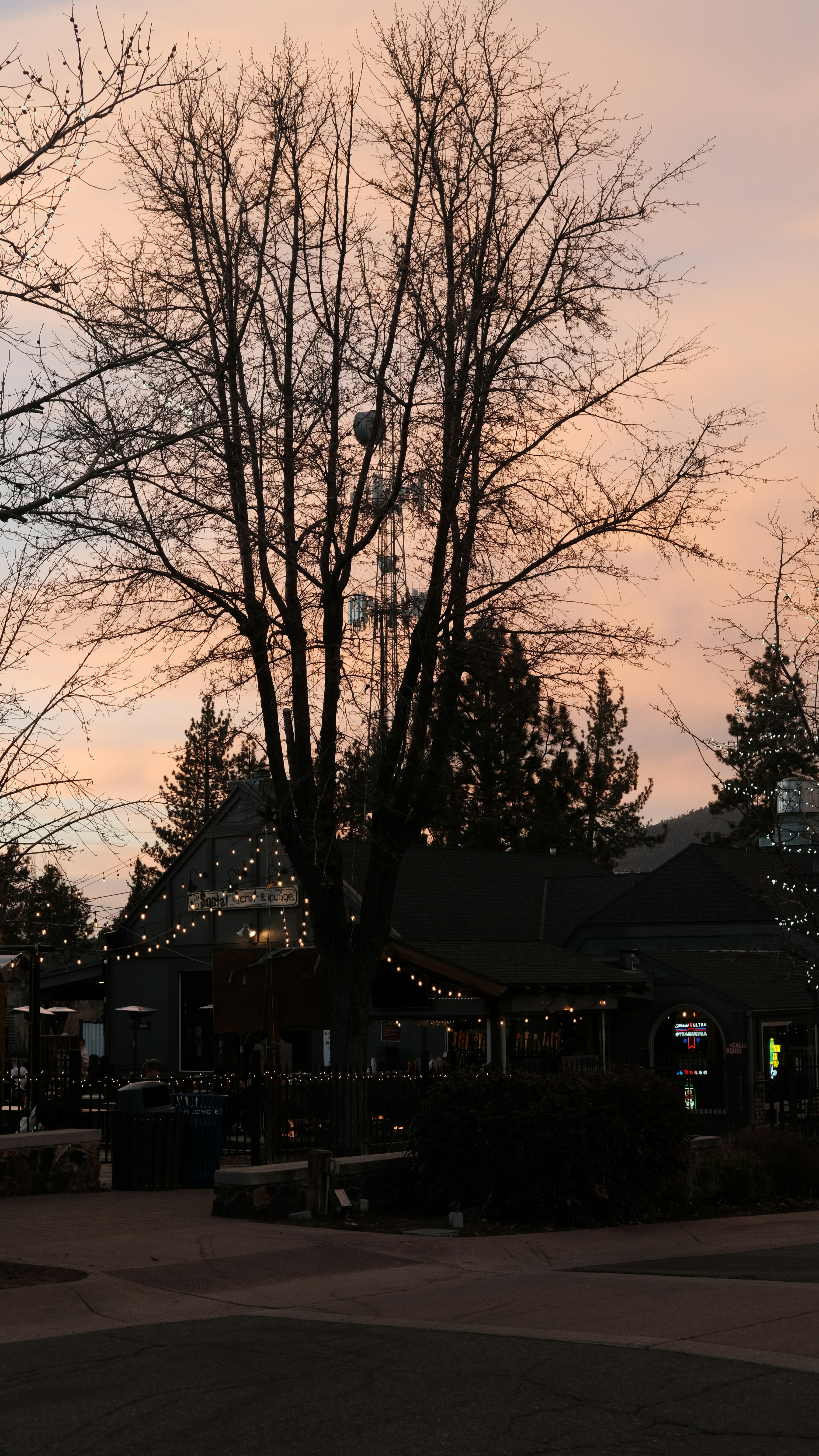 Sunset Glow Through the Bare Trees Over a Cozy Outdoor Café