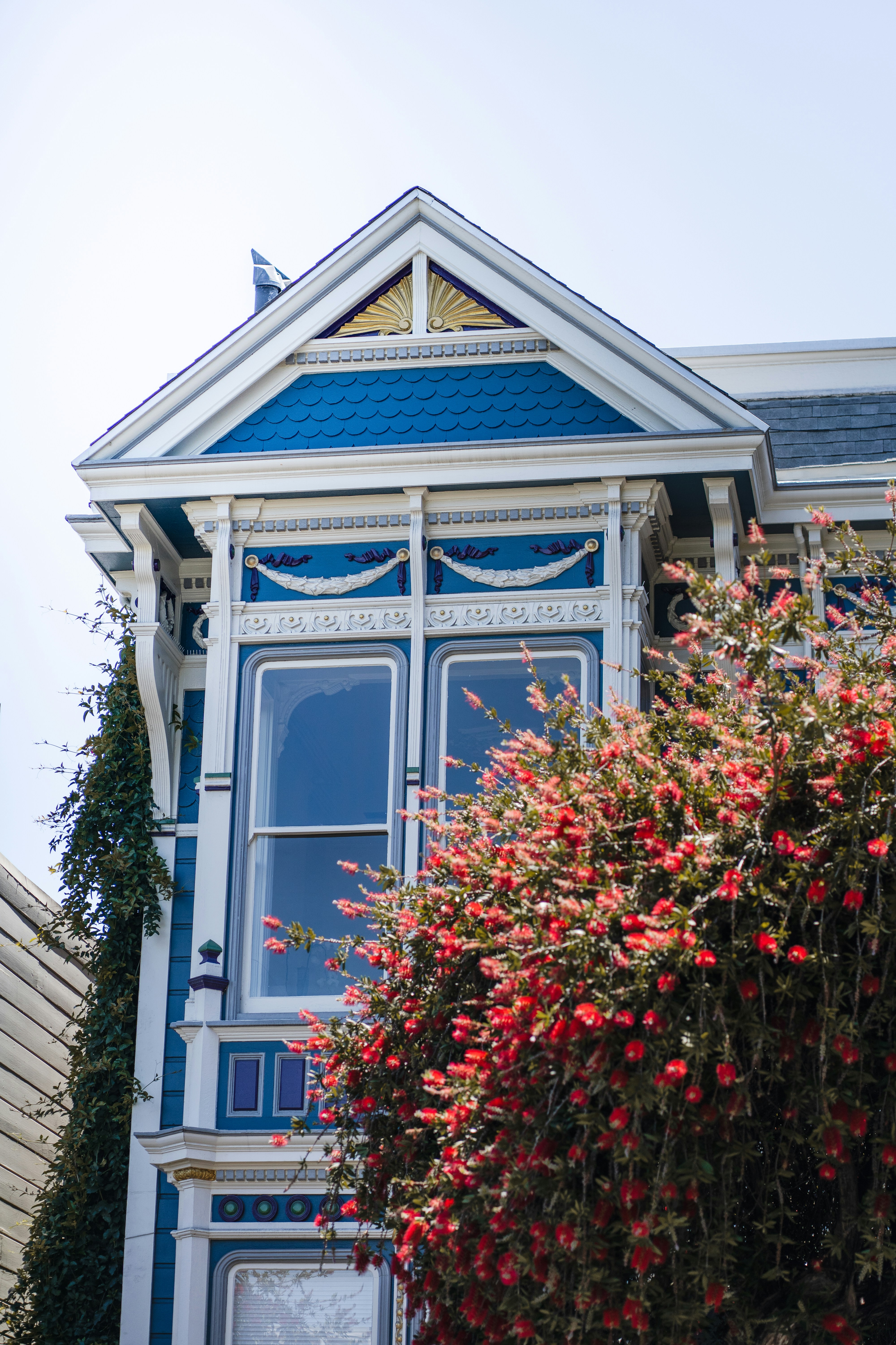 Ornate Victorian Facade Framed by Crimson Blooms