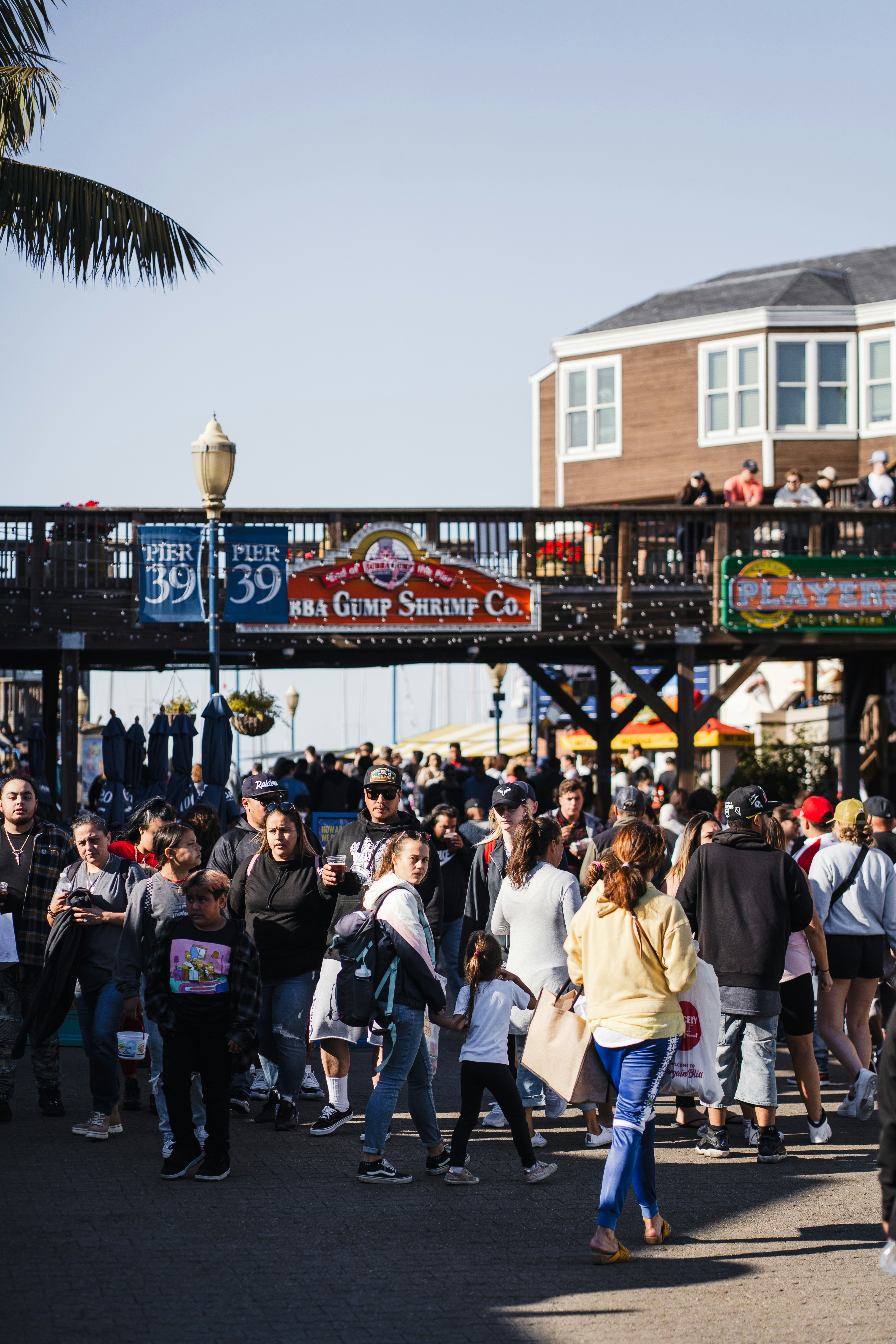 Crowd Under the Dockside Pier Brimming with People