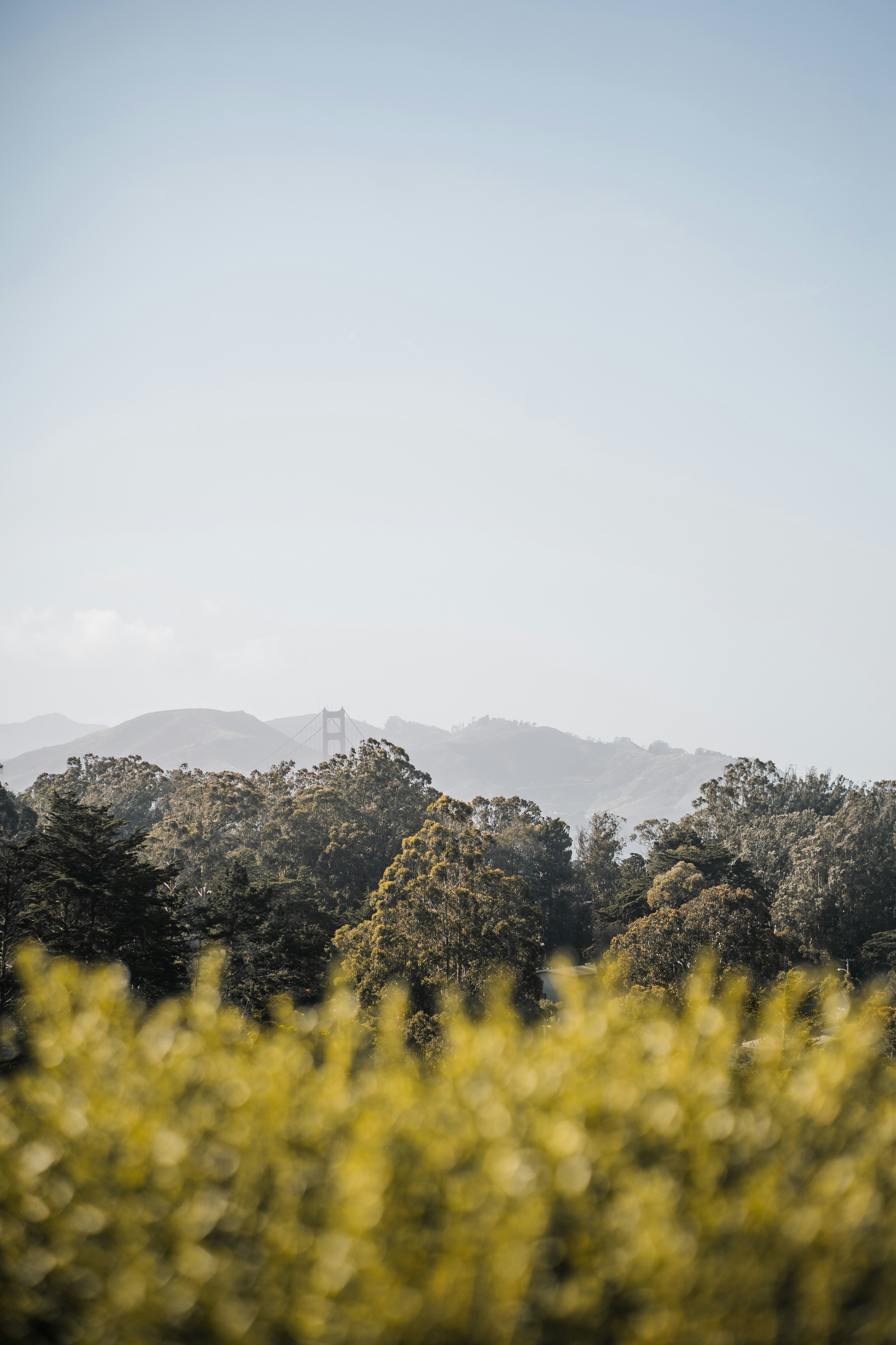 Hazy foothills under a pale, expansive sky