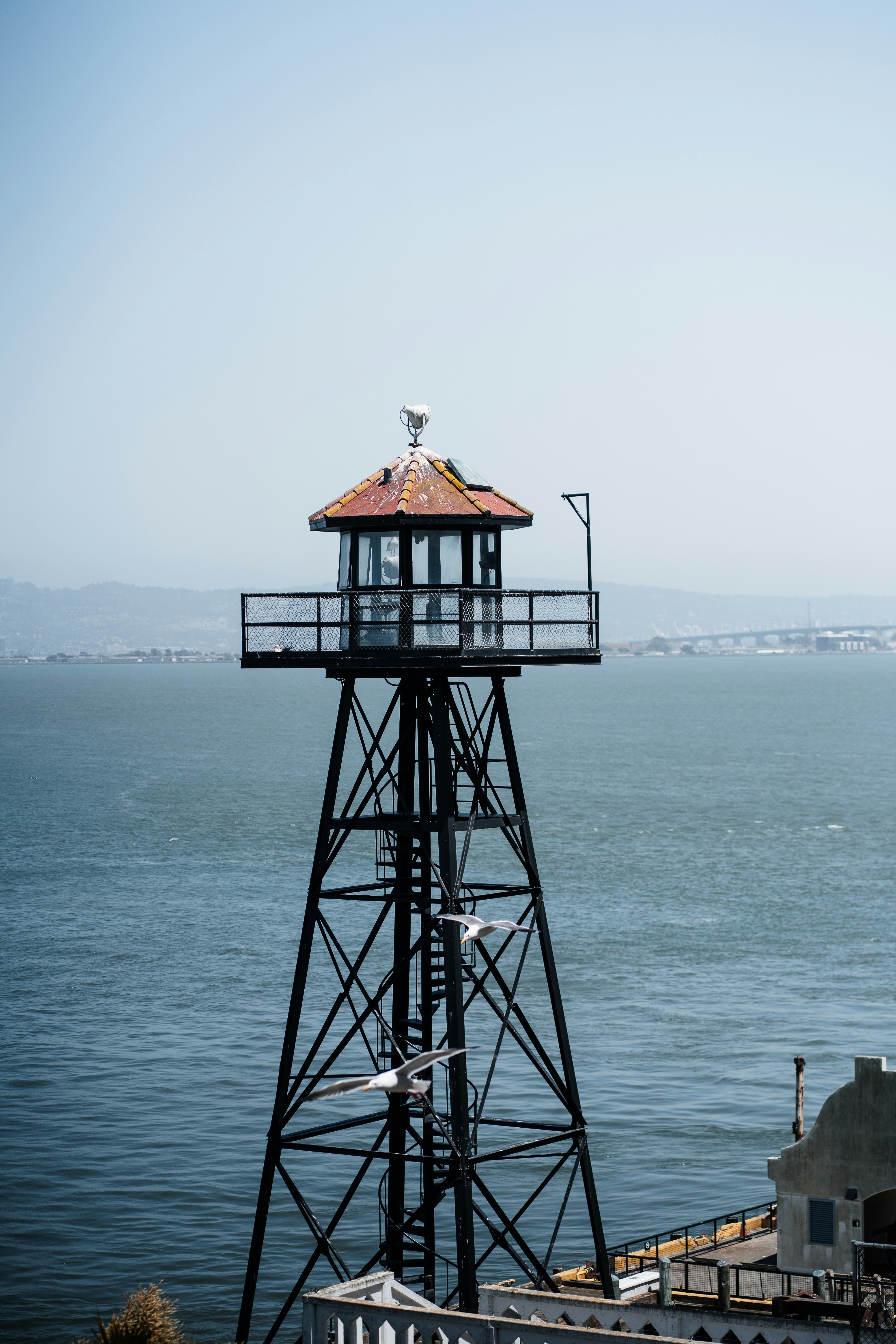 Lighthouse Crane: A Quiet Sentinel Over Calm Waters