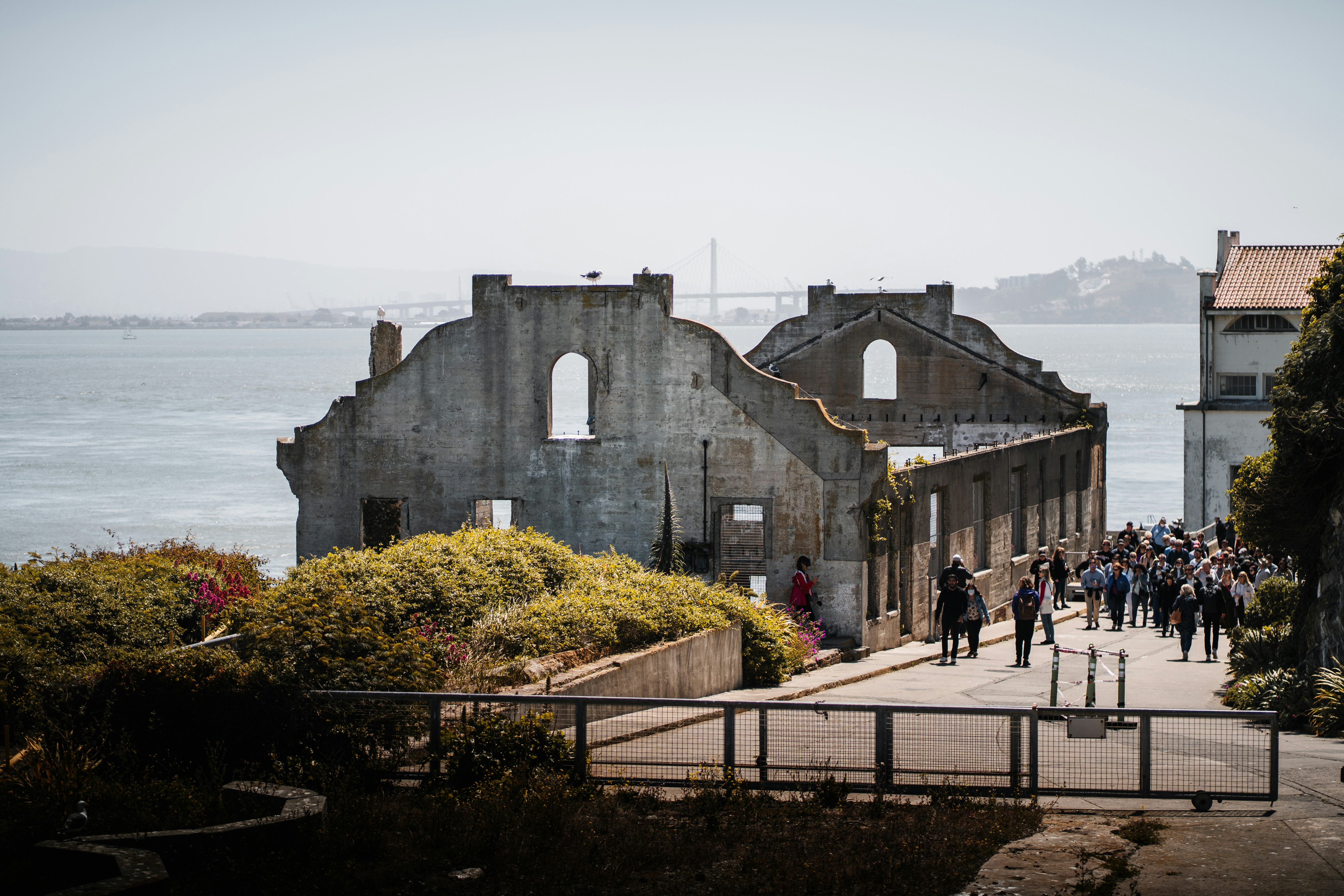 Ruins Overlook: A Seaside Walk Through Time
