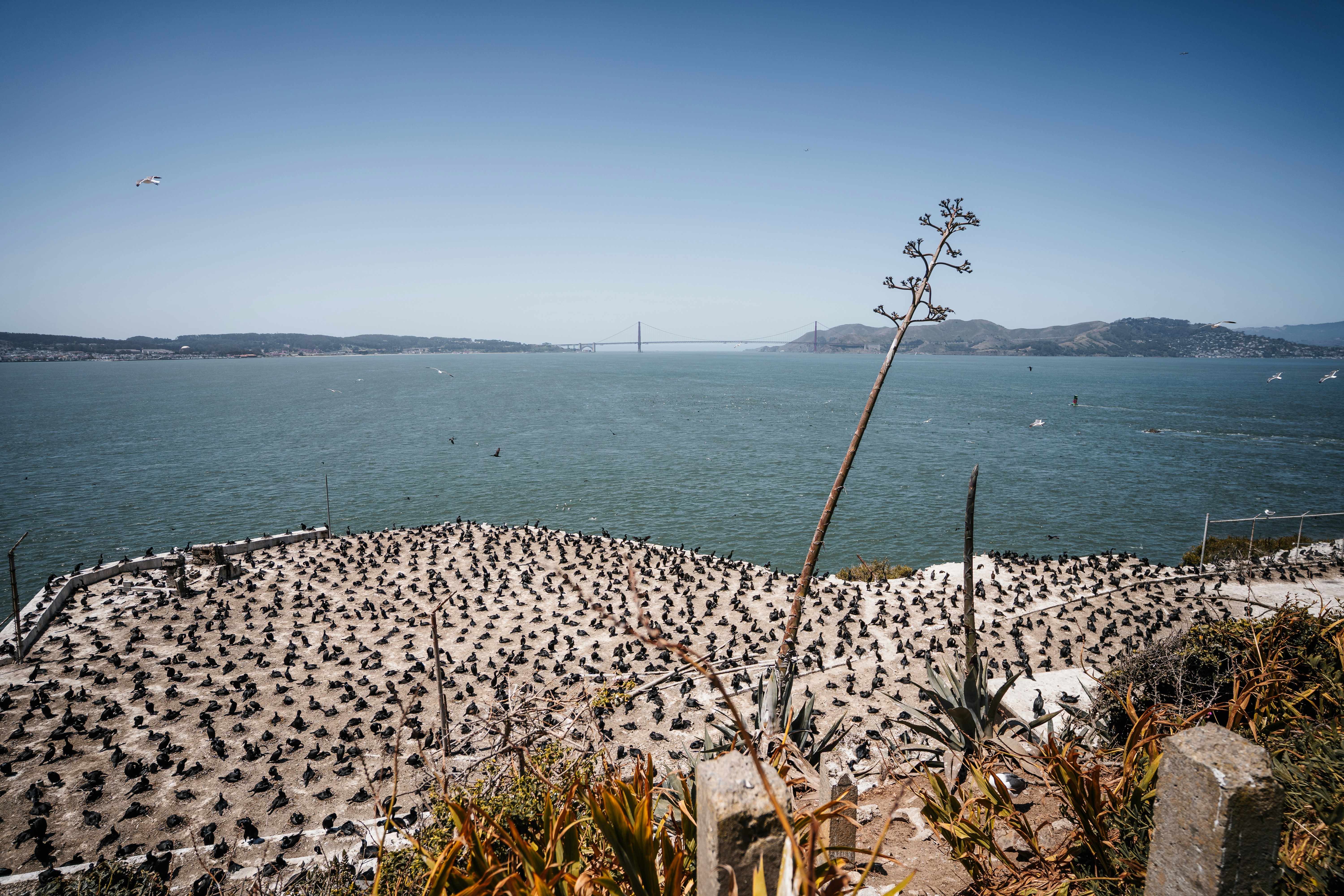A Quiet Sea of Crowded Grid under Wide Blue Sky