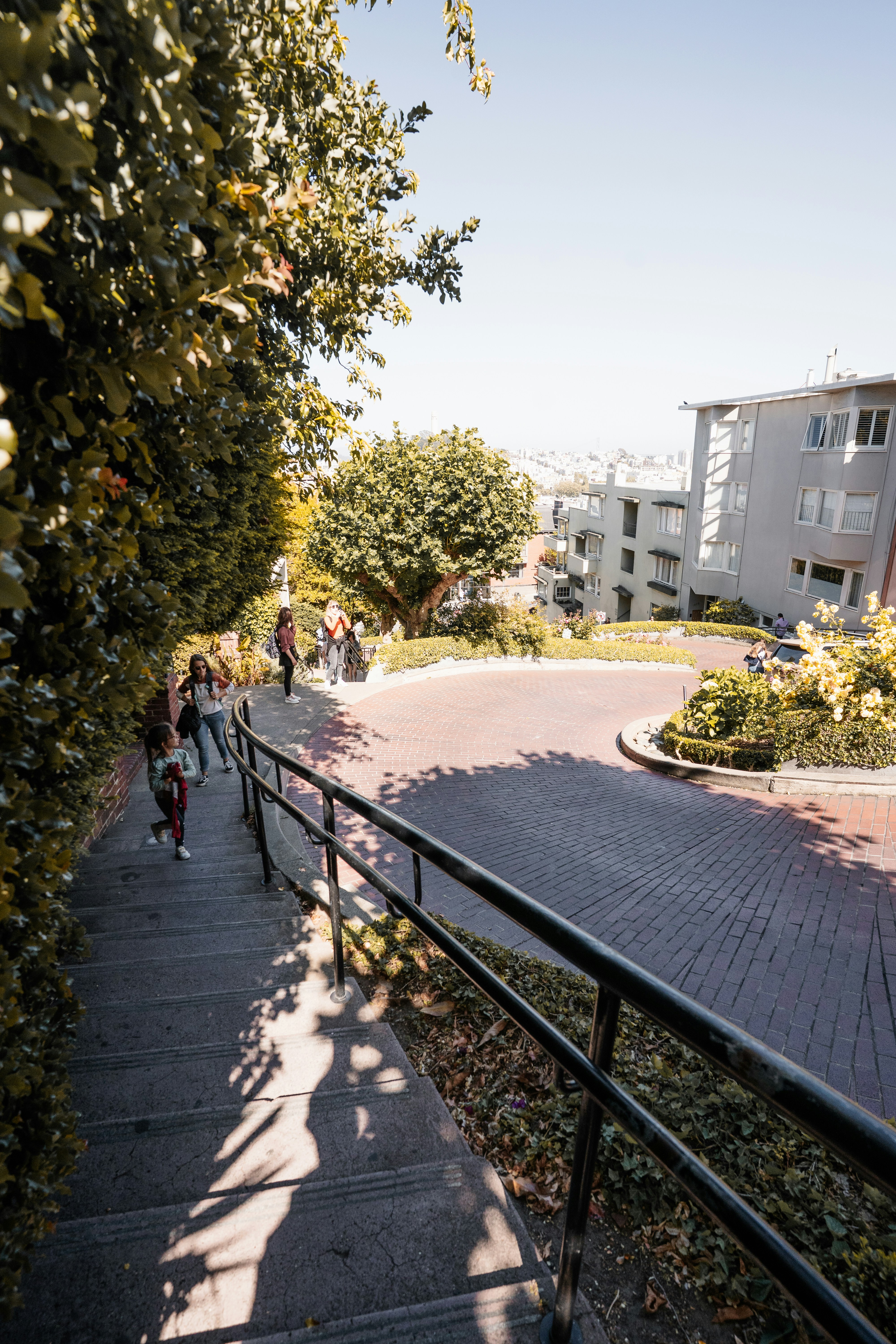 A Quiet Descent: Shadowed Steps under a Sunlit Campus