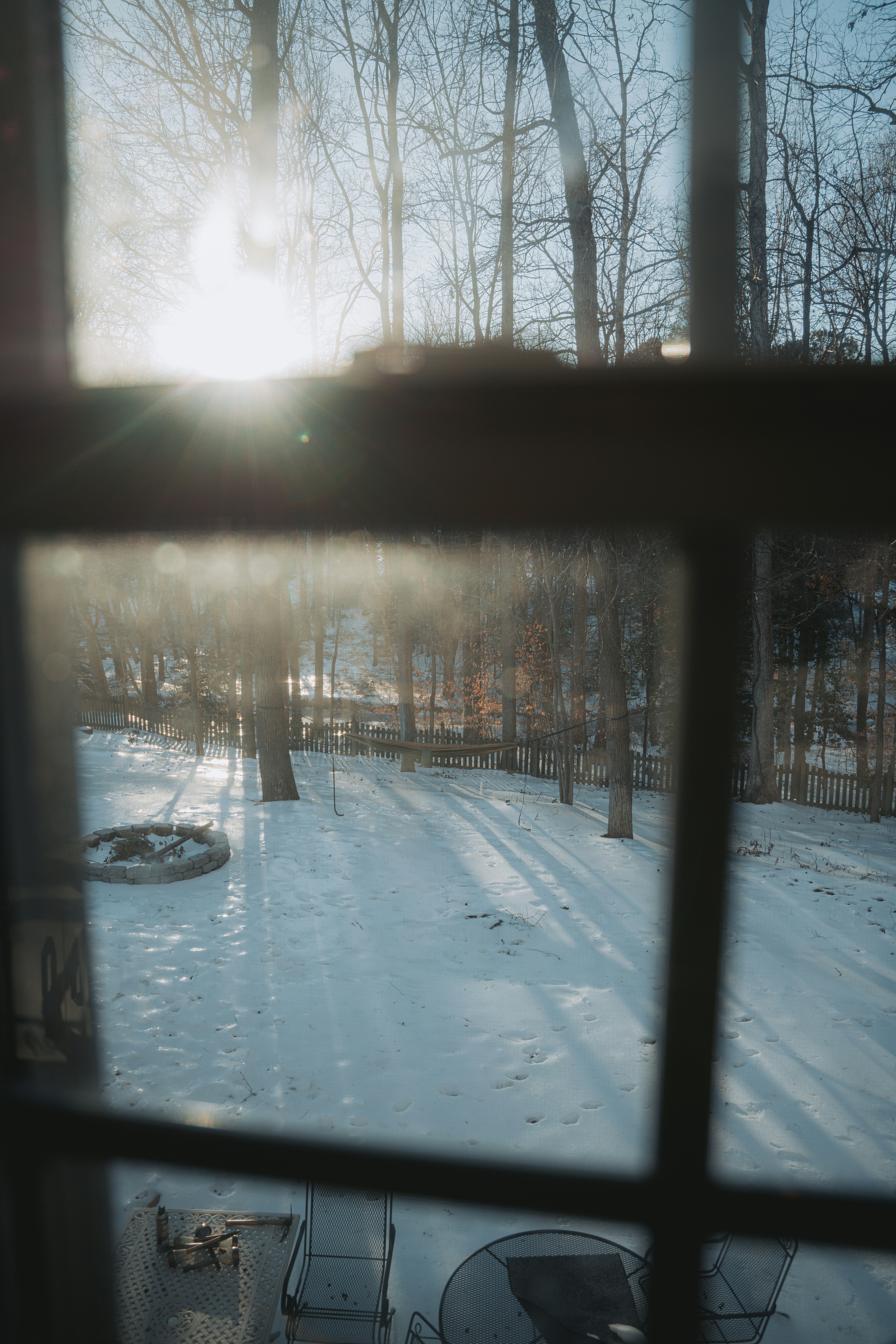 Winter Light Through a Dormant Window Grid