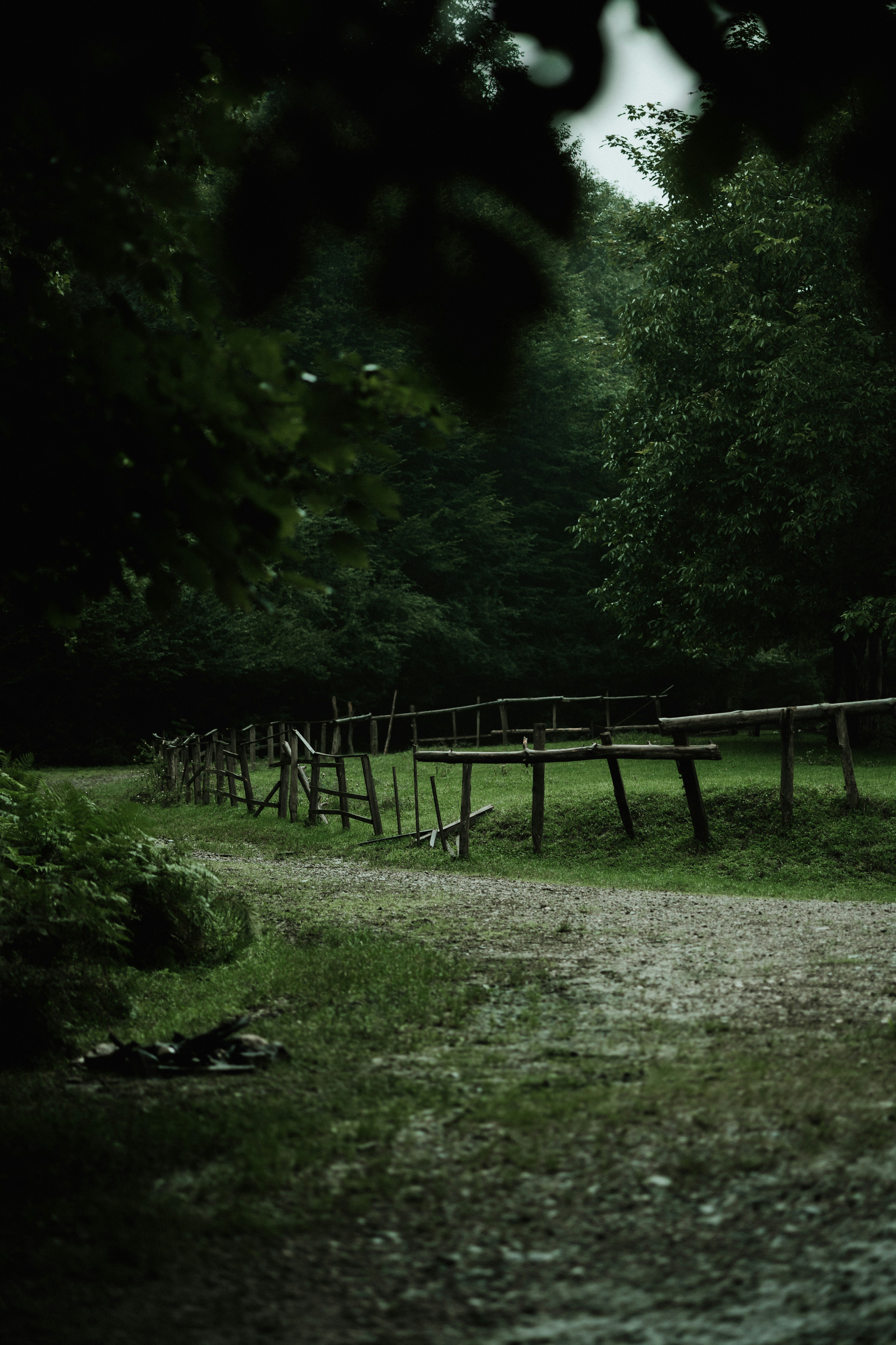 Quiet Dawn on the Rustic Path