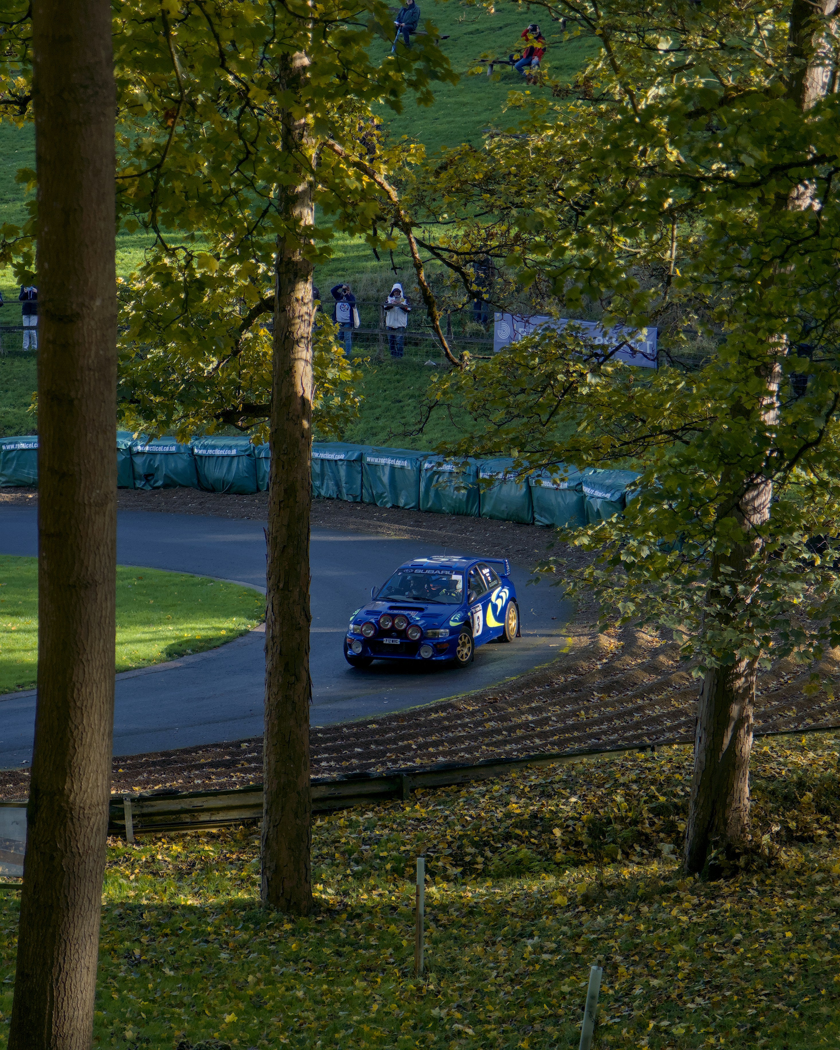 Blue rally car rounds a sunlit bend through a park-lined track