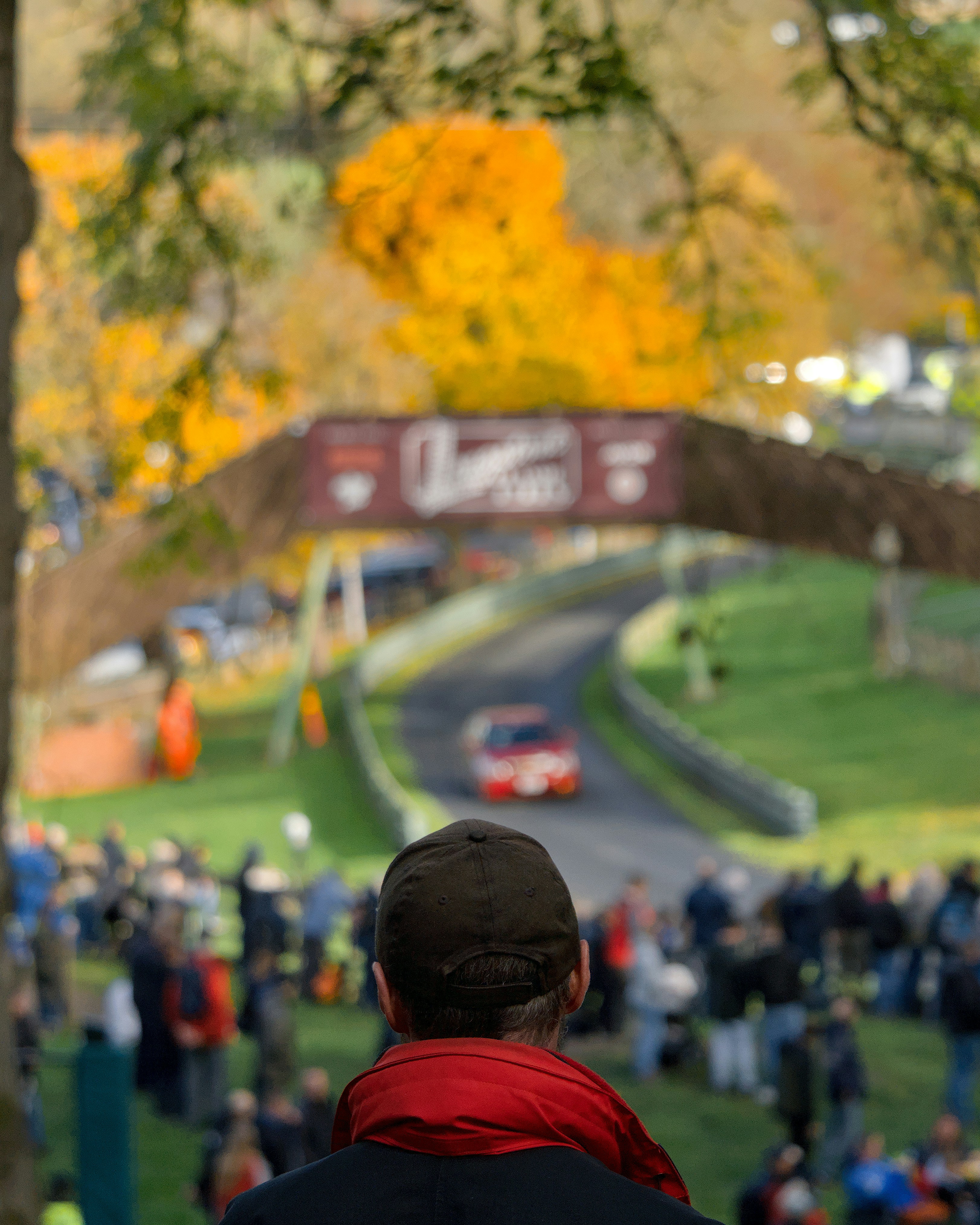Back View at the Finish Line: A Crowd Gathers Beneath the Autumn Arch