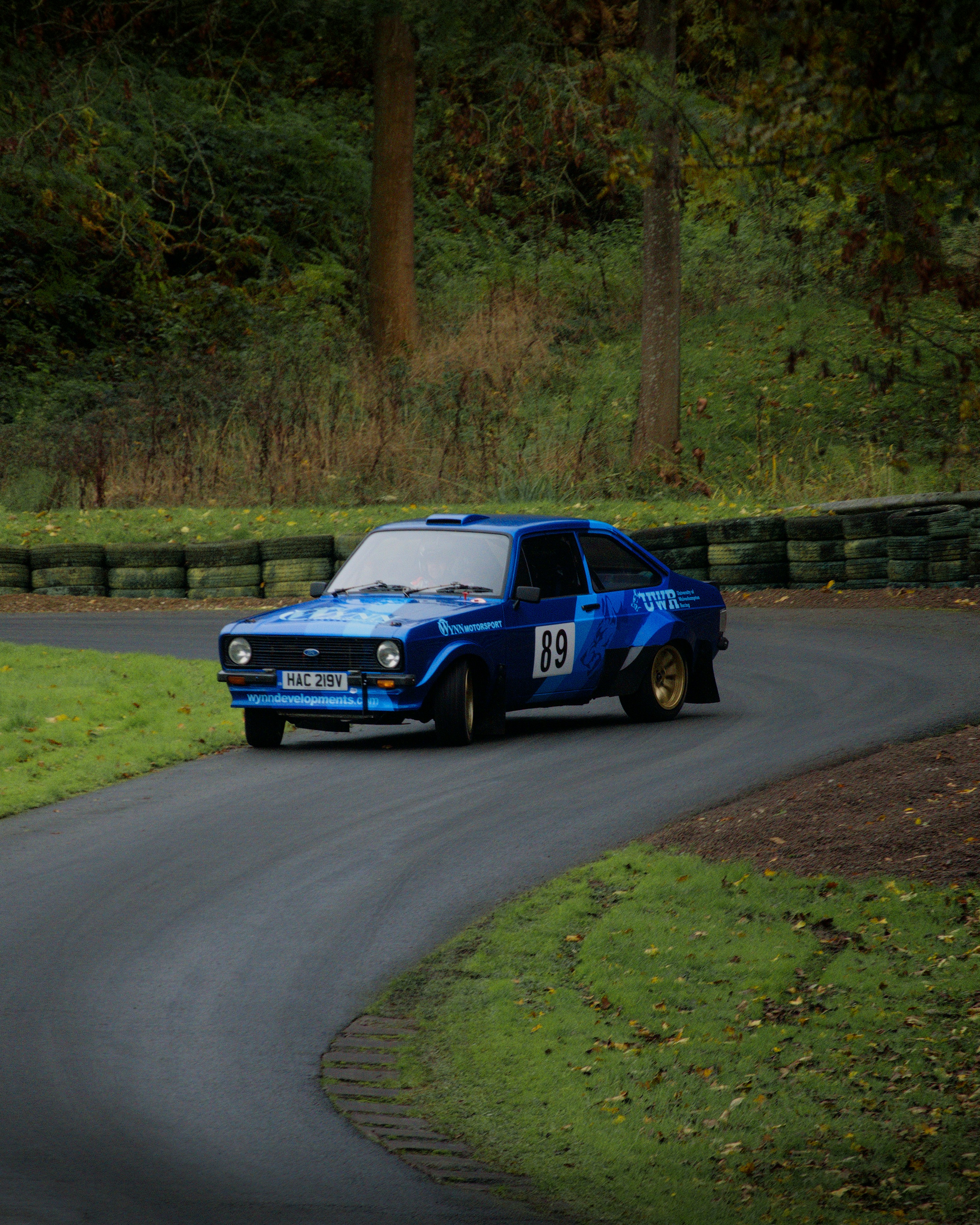 Blue racing coupe rounds a forested bend on a quiet rally stage