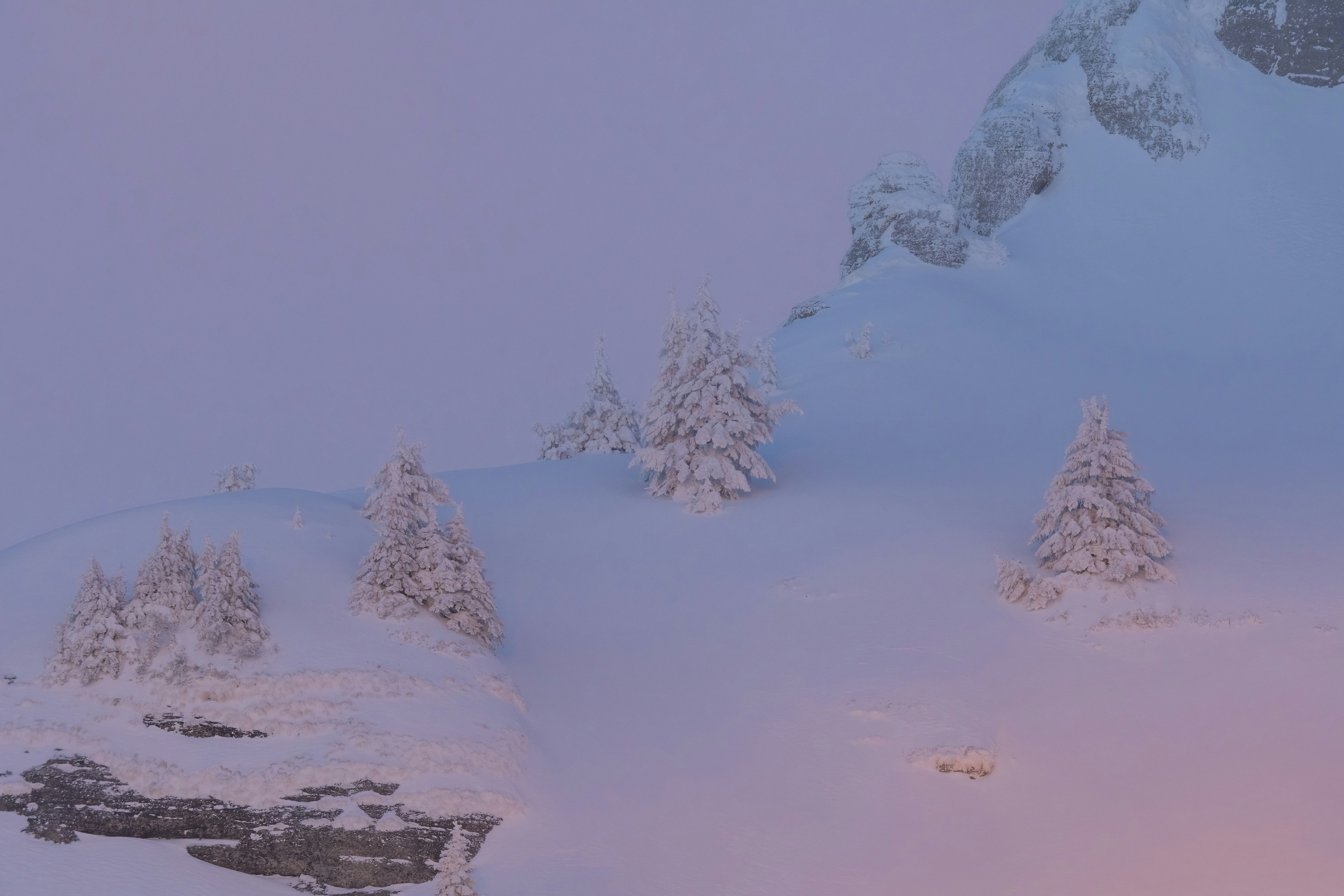 Snow-dusted pines line a gentle slope under a gradient sky, with a warm glow on the lower right. A tranquil alpine scene suitable for a nature collection or winter landscape editorial.