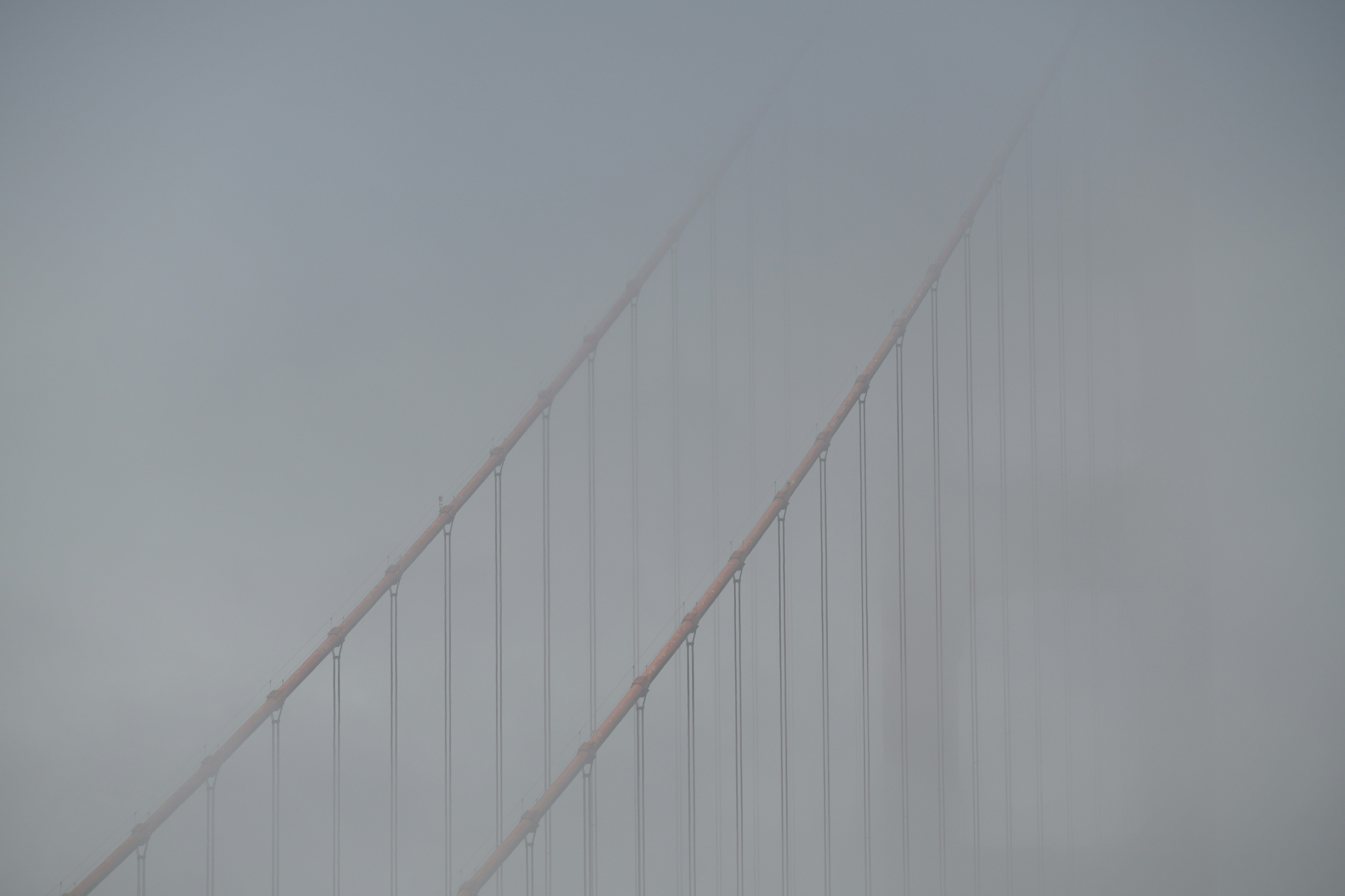 Bridge Cables in Mist: A Quiet Tongue of Steel Amid Fog
