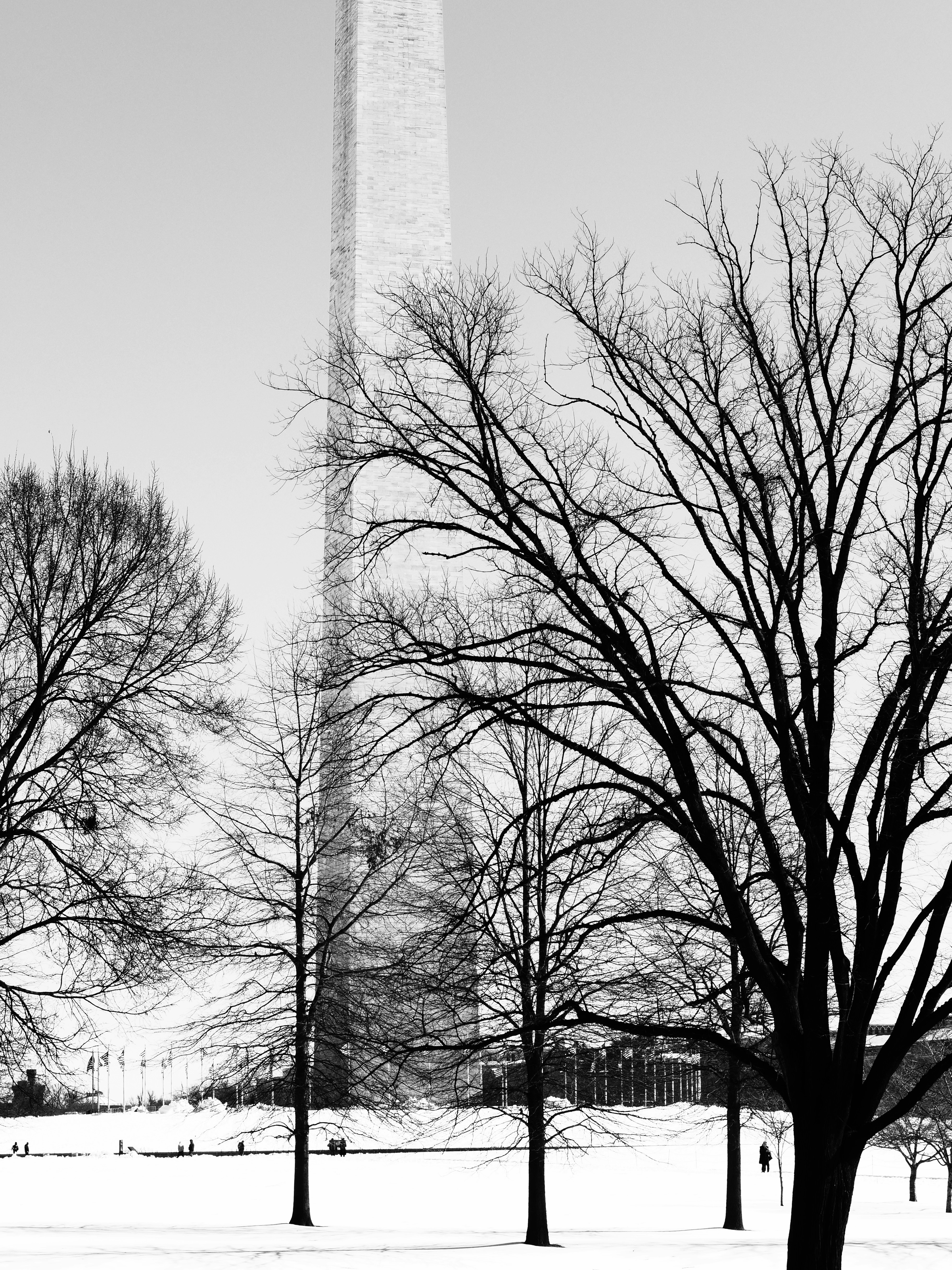 Winter Silence Under a Looming Obelisk