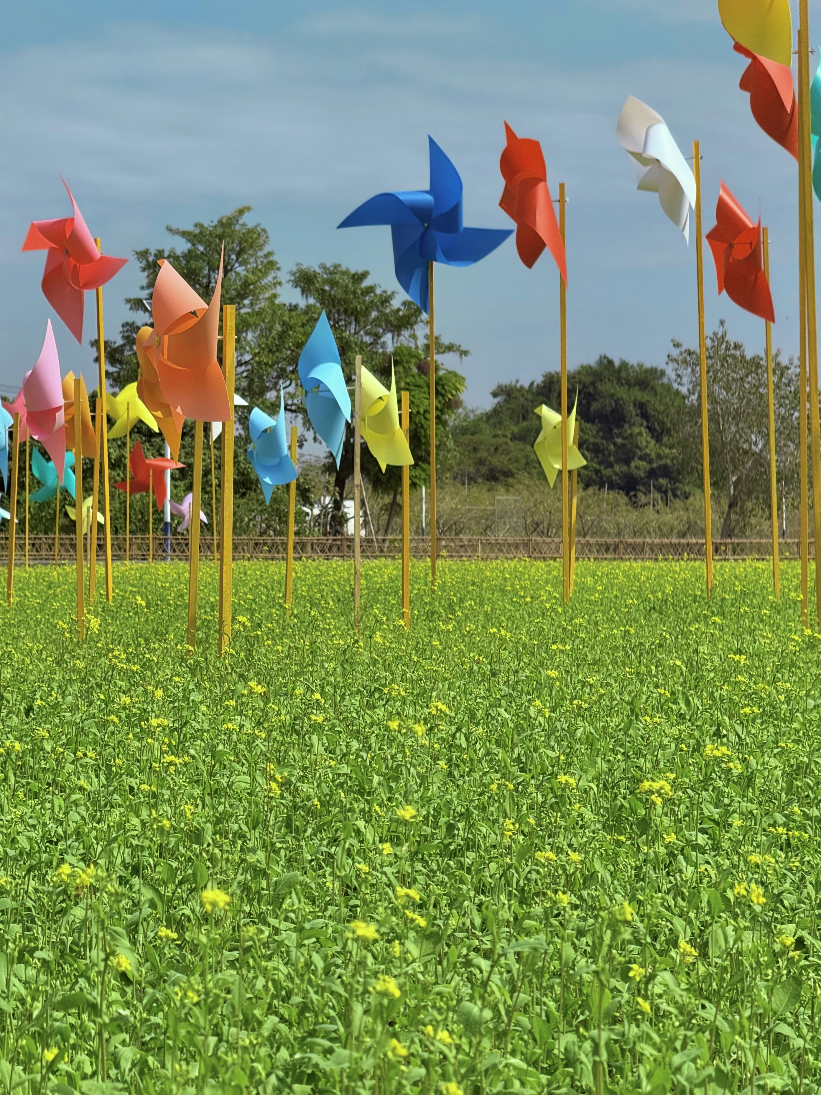 Field of Colorful Wind Sculptures under a Bright Sky
