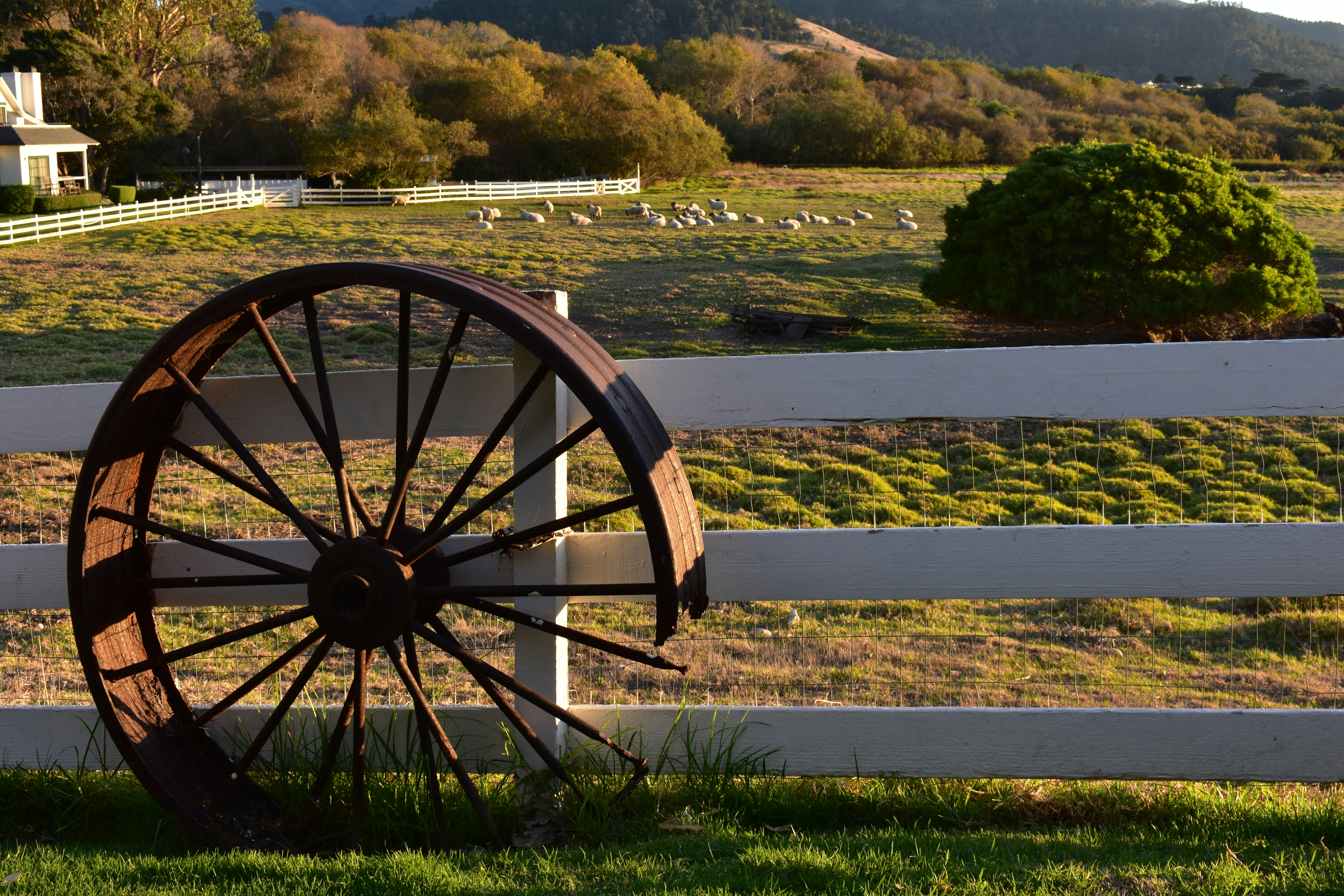 Old Wheel Resting Against a White Fence with Rolling Hills