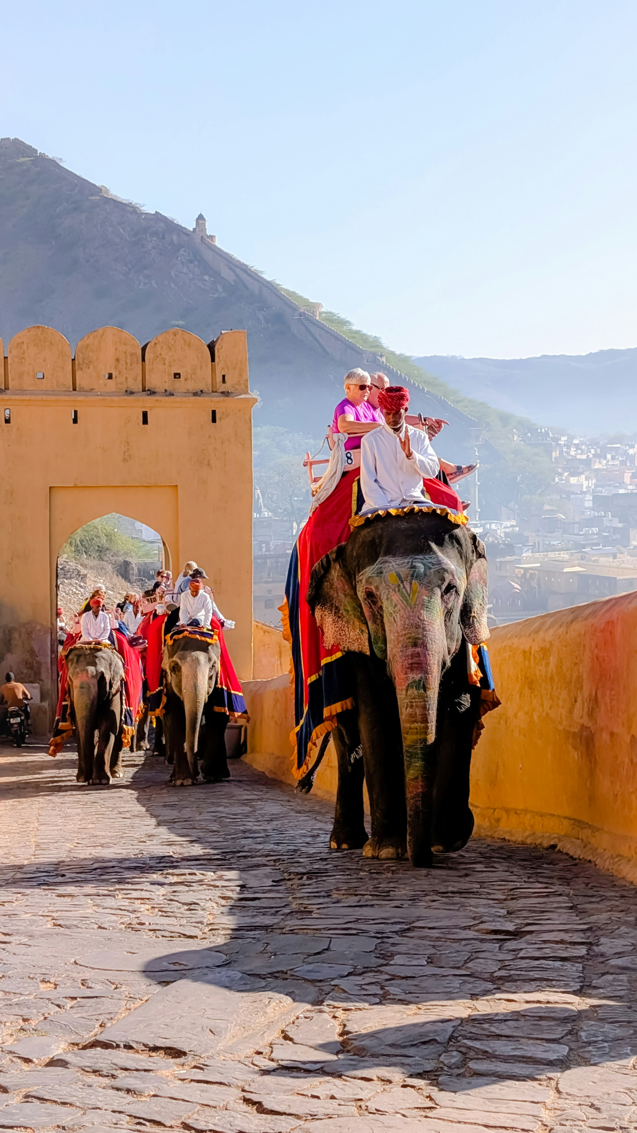 Cart of Color: Elephants Crowned by a Golden Gate