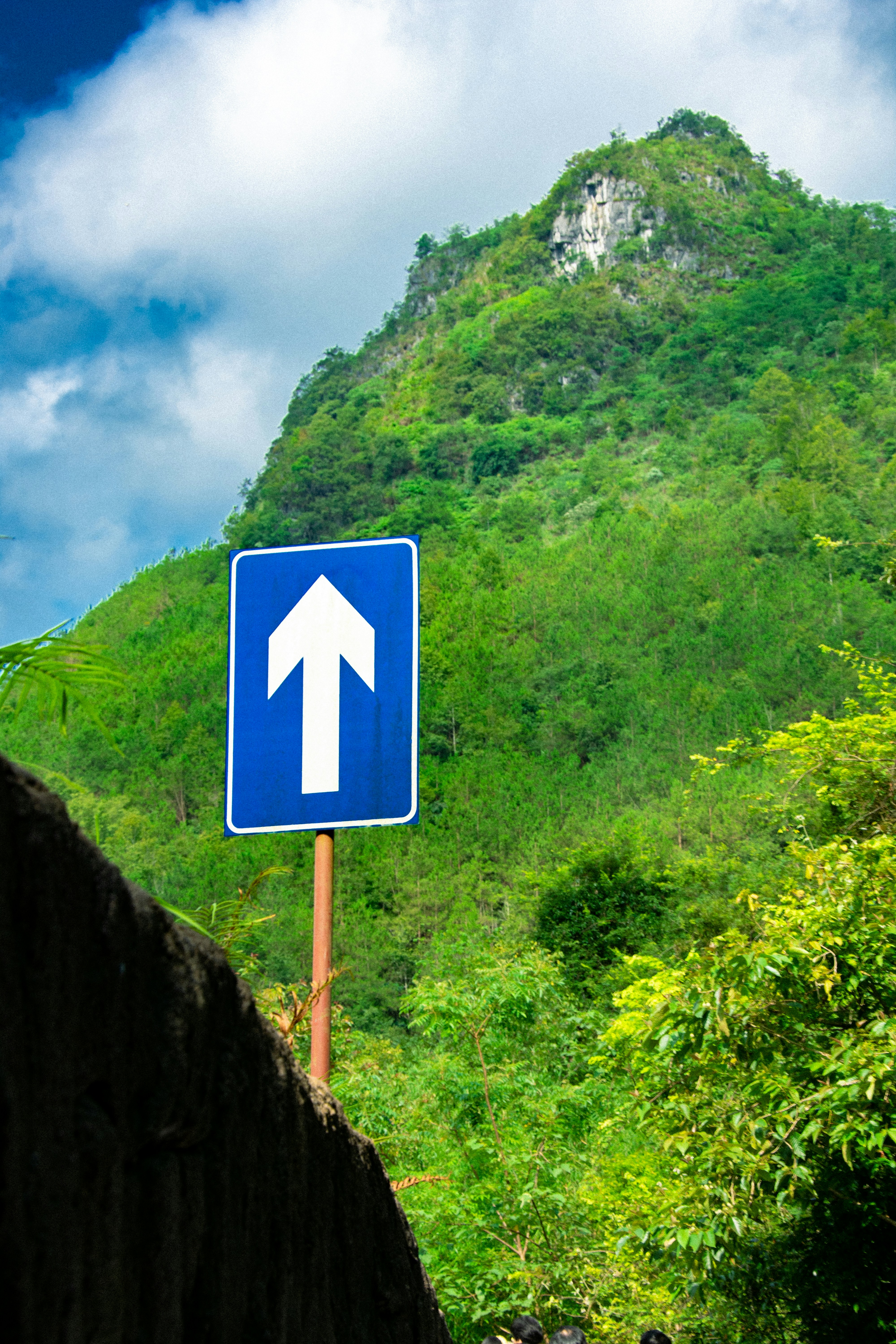 Upward Path: A Blue Sign Among Verdant Hills