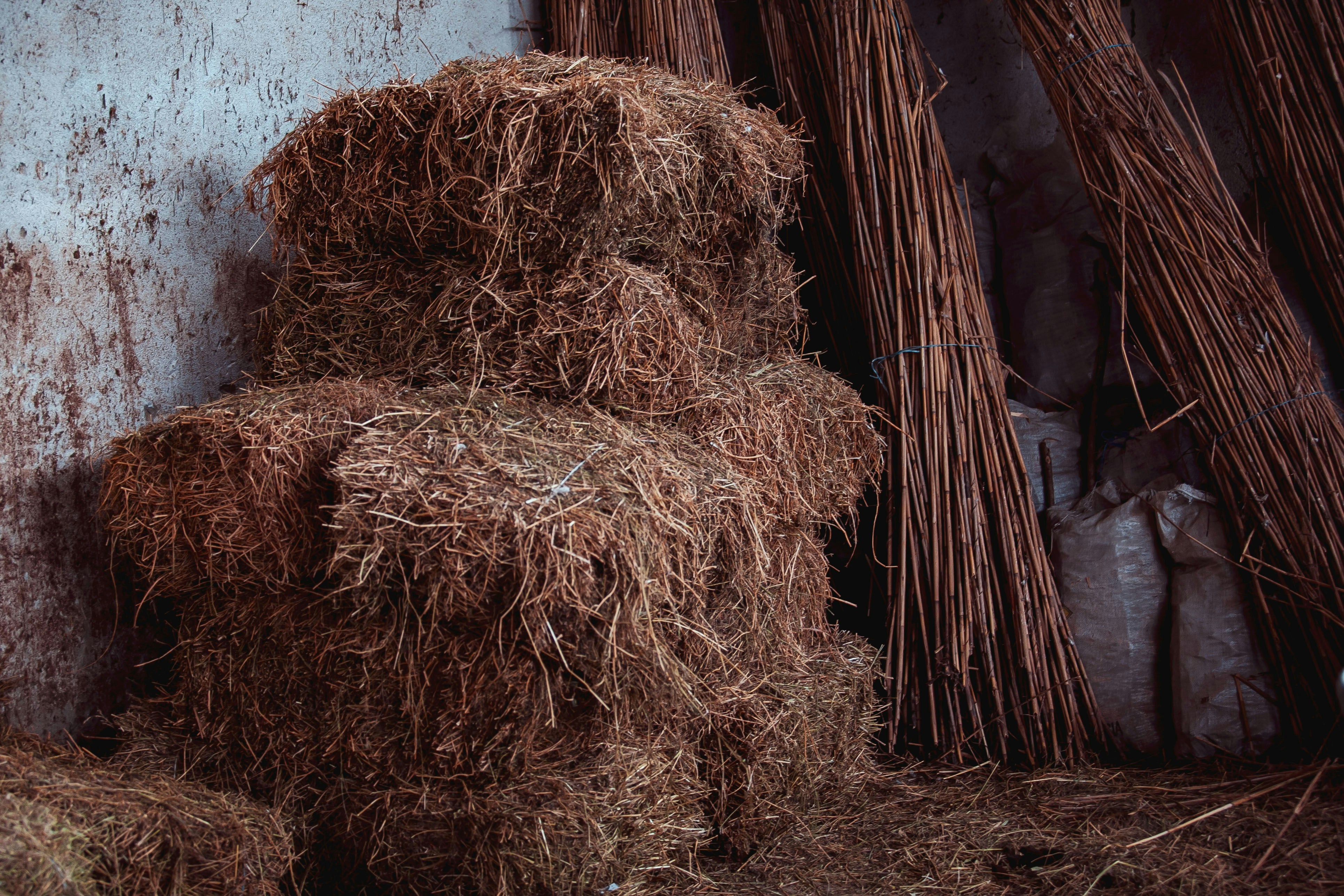 Stacked Hay Bales in a Dim Barn Corner