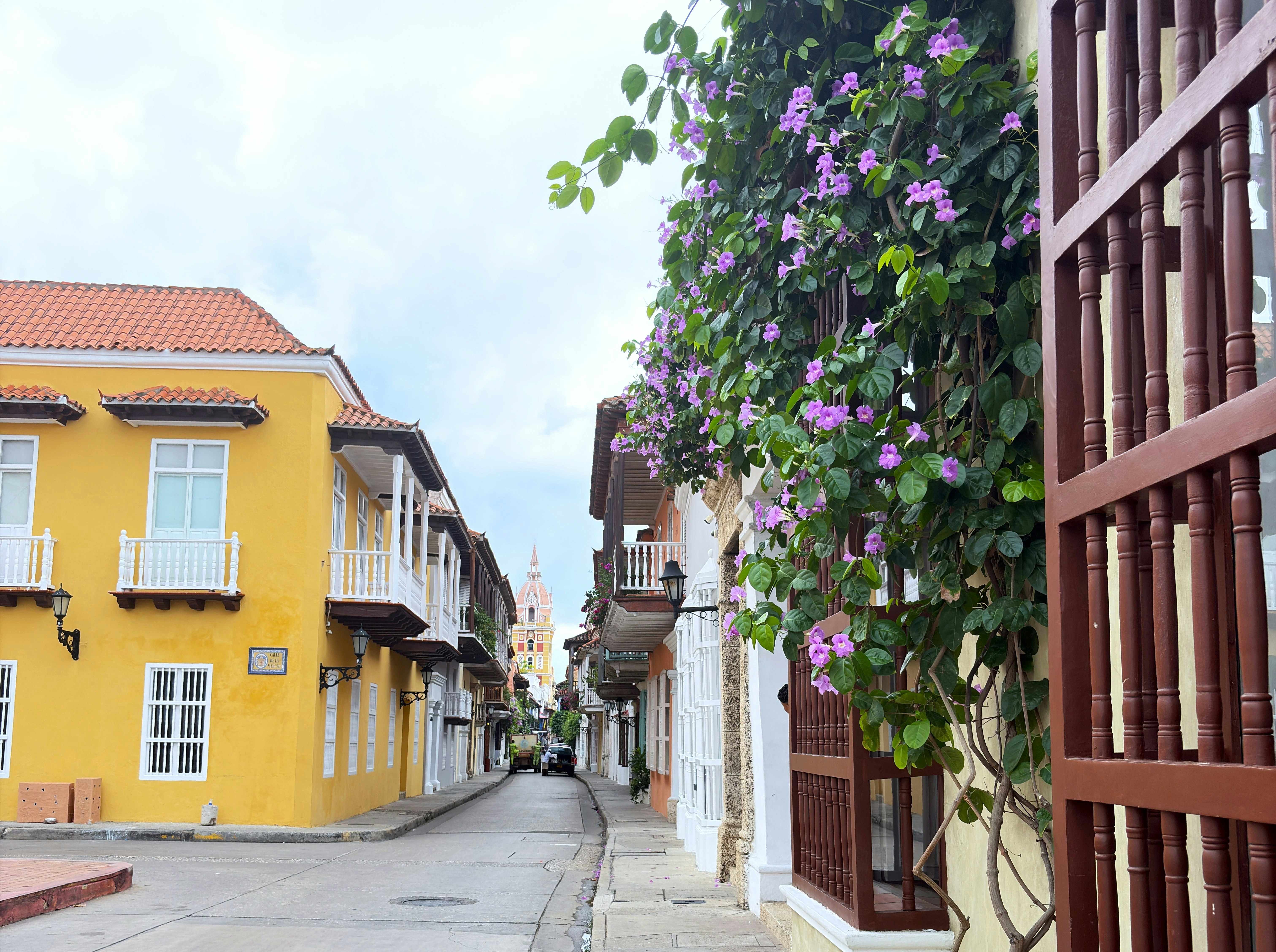 Colorful colonial street with flowering vines.