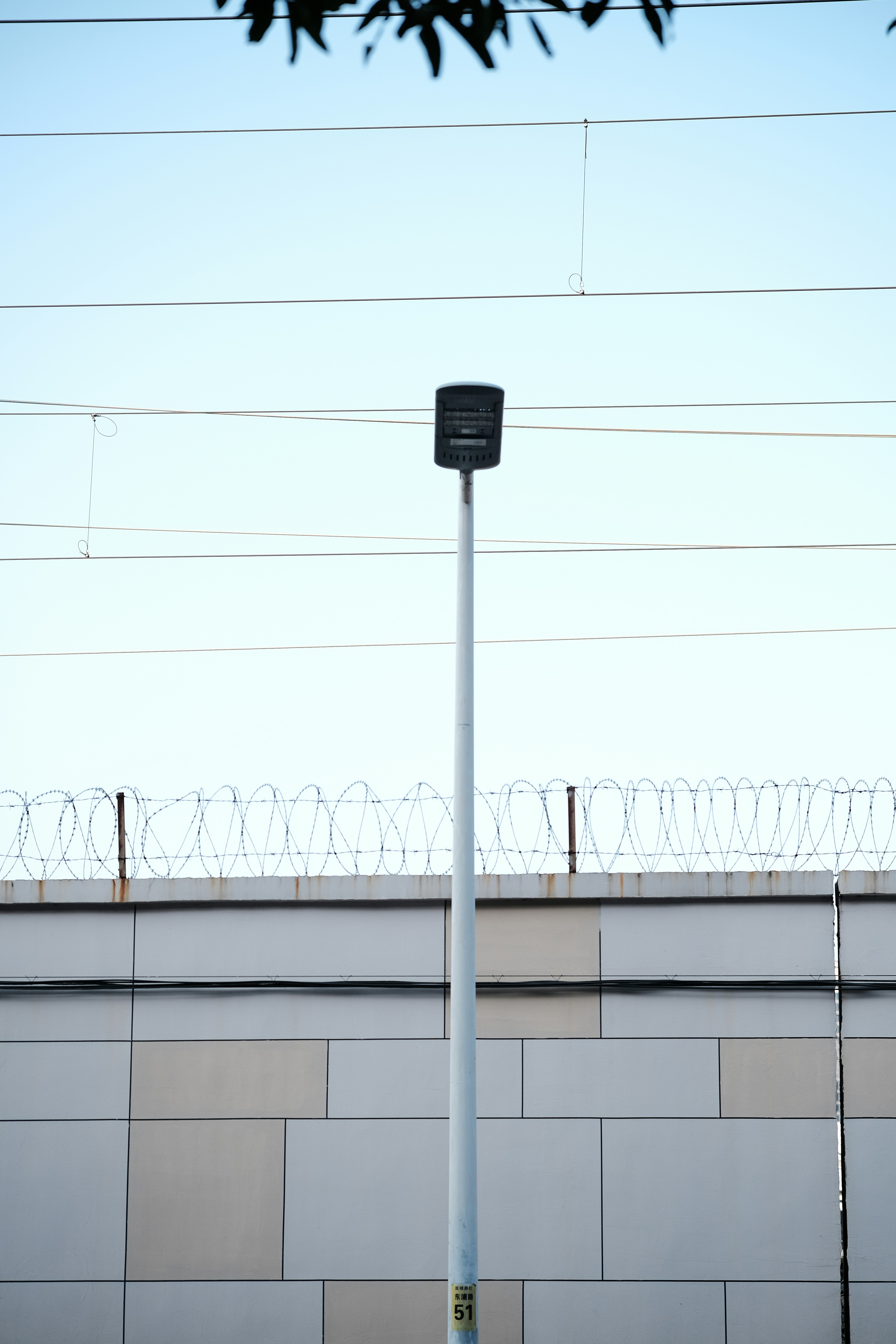 Centerline of Quiet Power: A Streetlamp Amid Barbed Echoes