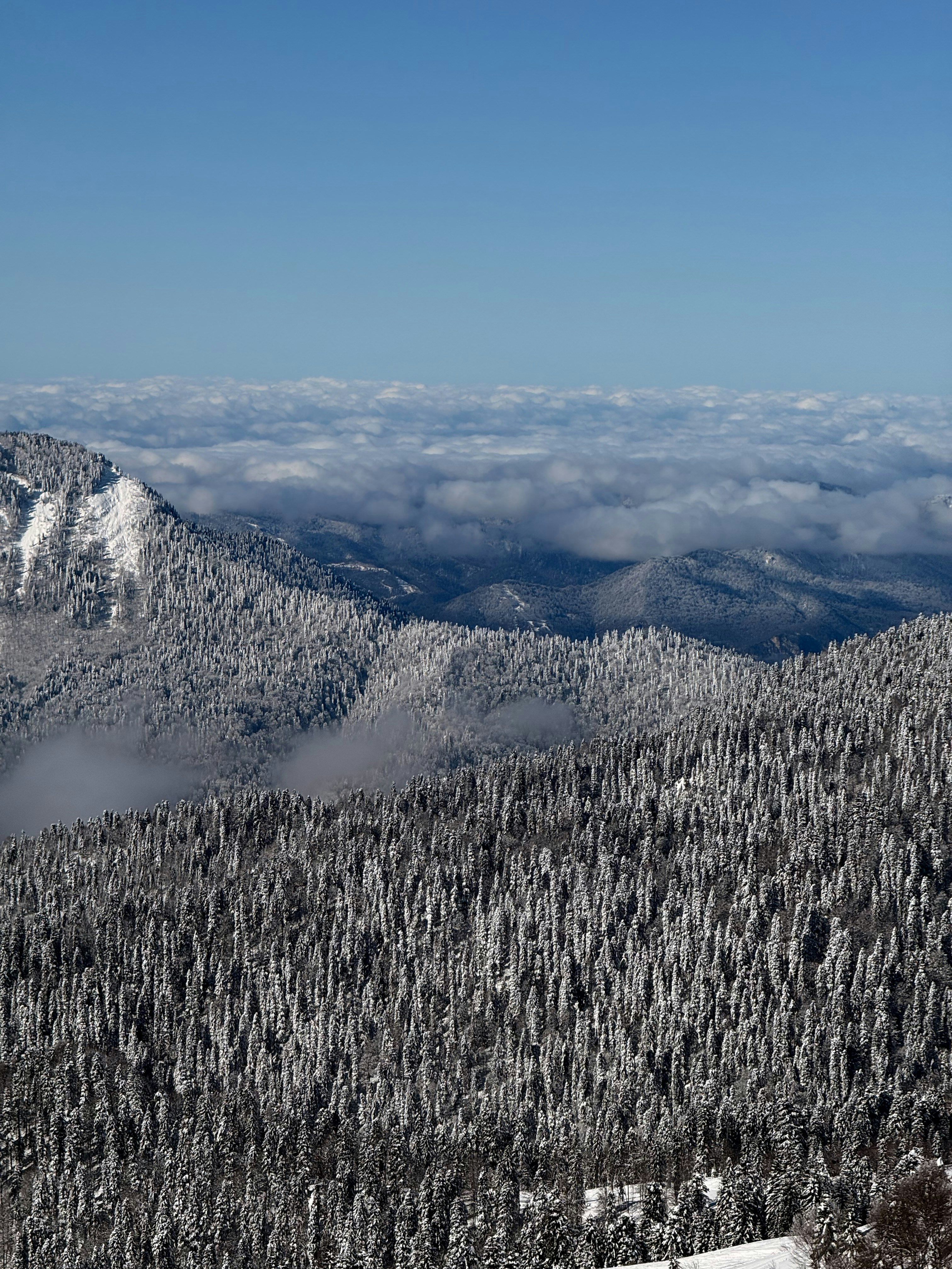 Snow-Capped Ridge Above a Sea of Clouds