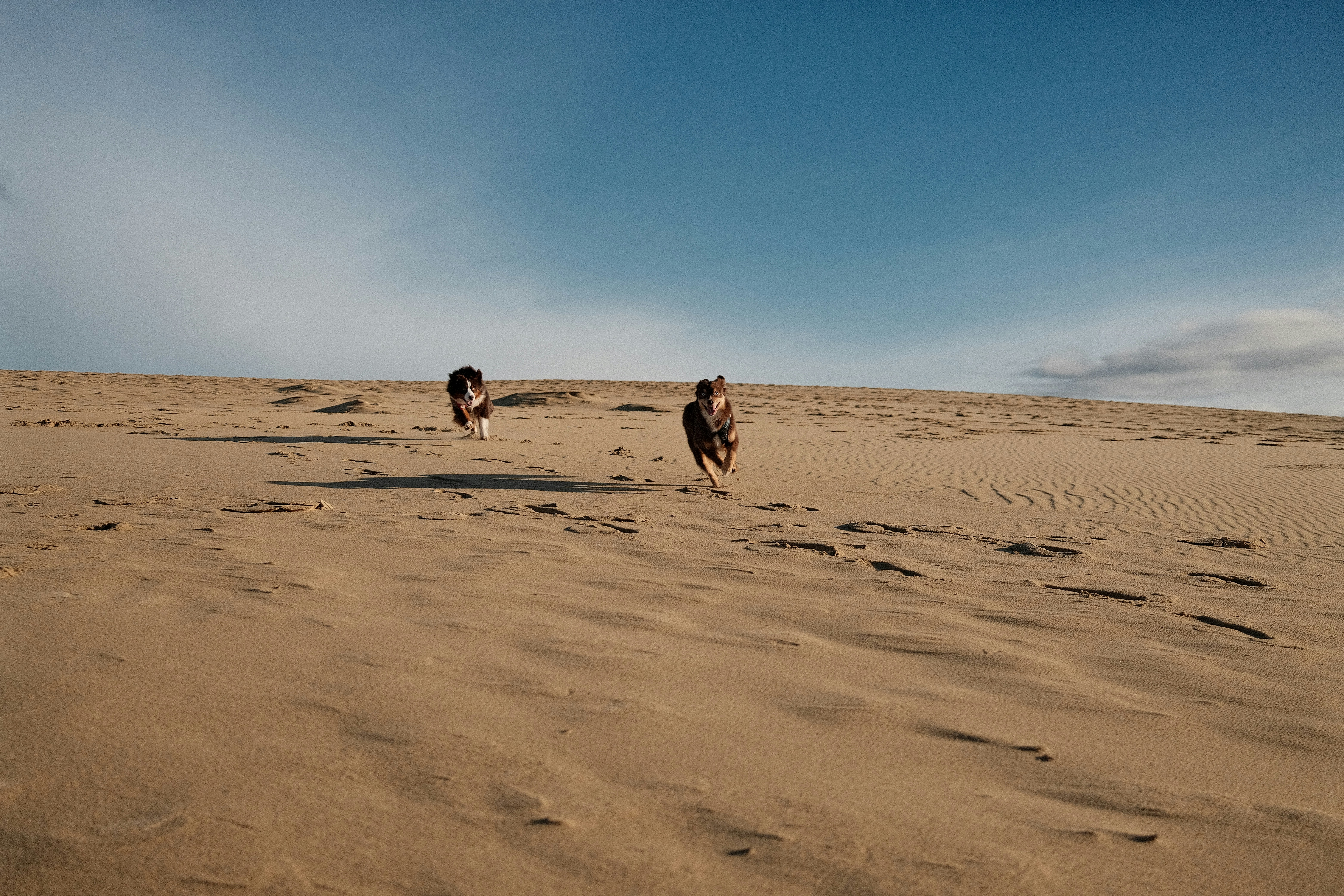 Desert Dunes: Two Figures Trek Across a Gentle Slope