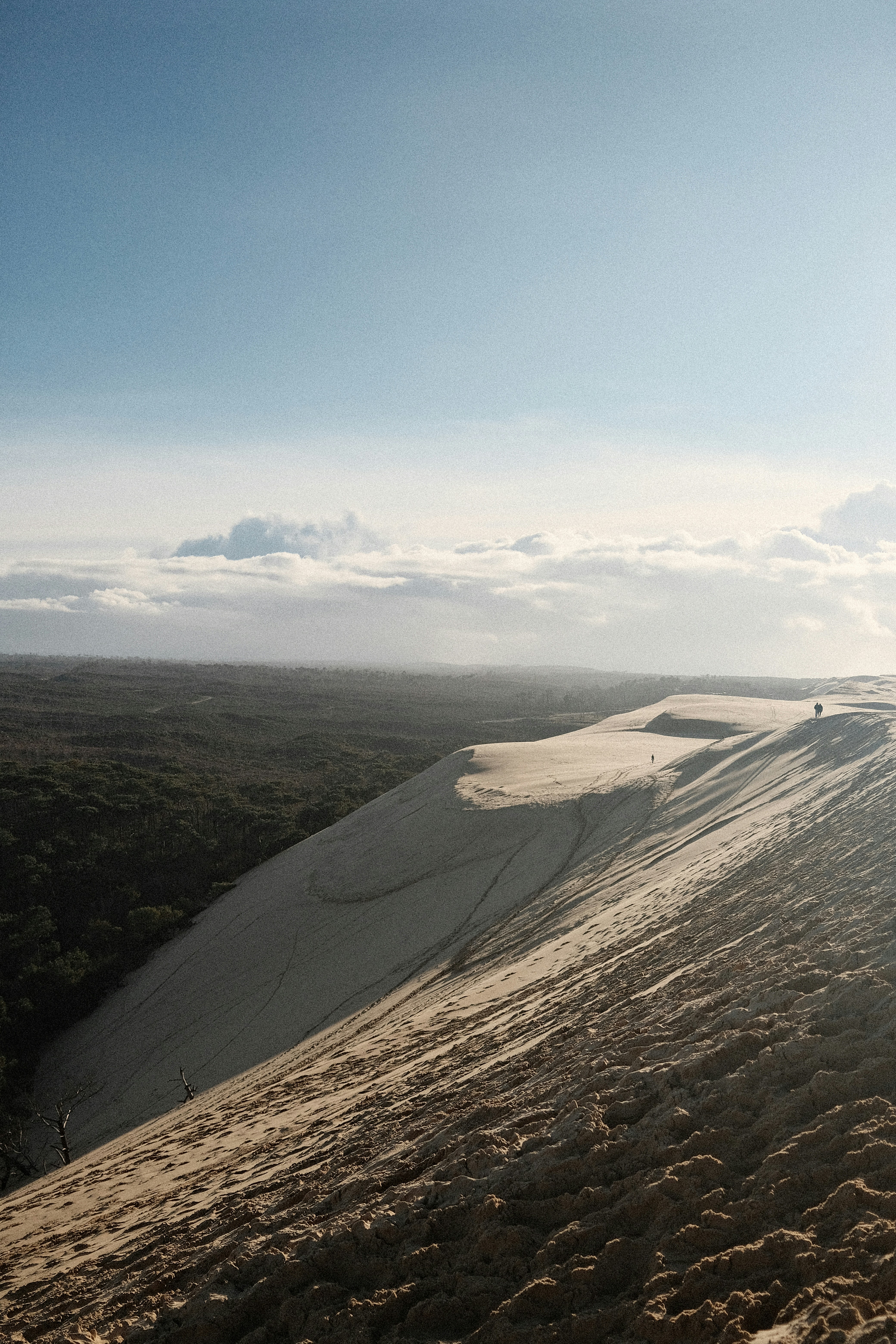 Dune Ridge at Dusk: A Quiet Ascent Along the Snow-Washed Slope