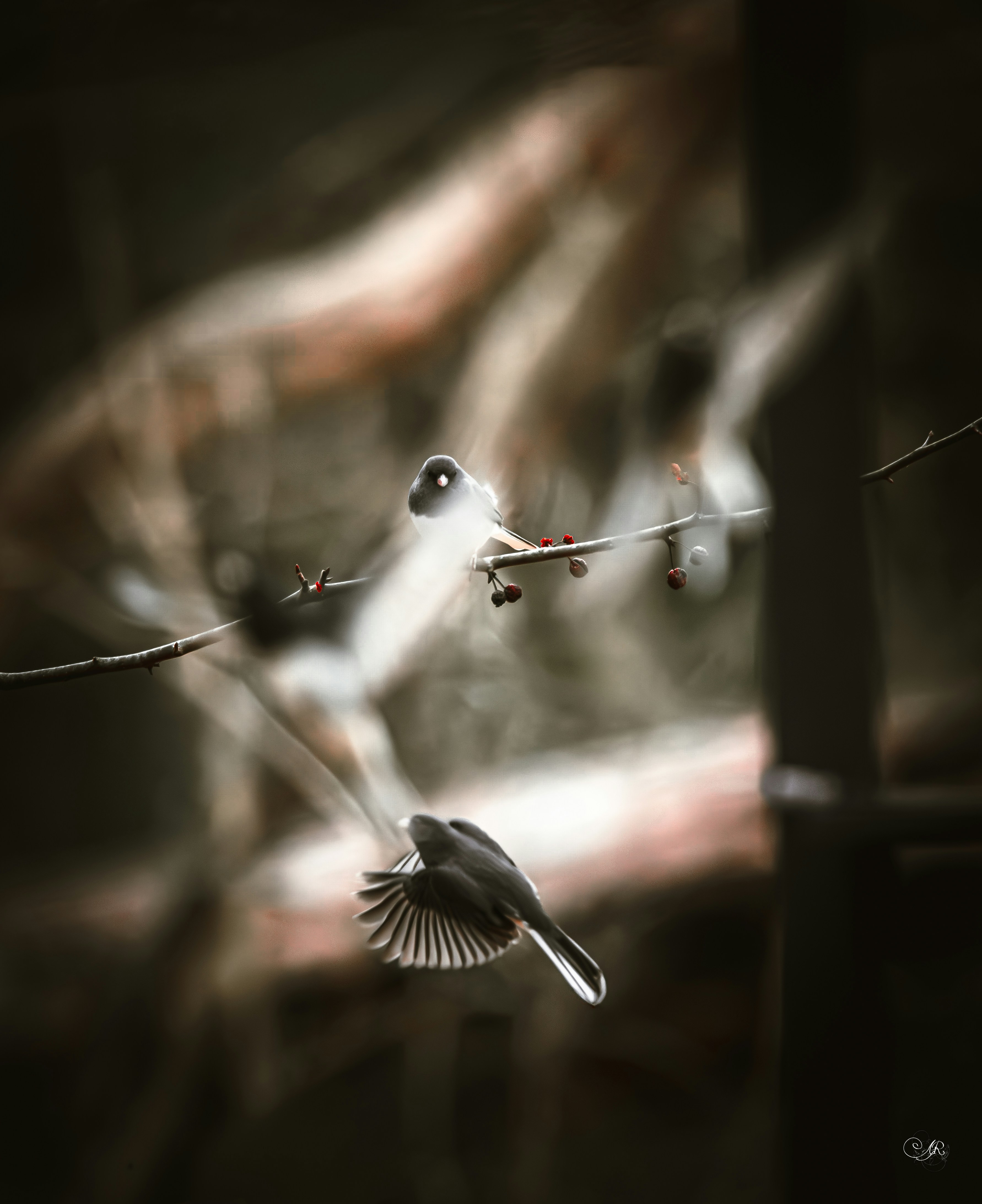 Whispering Branches: A Moment of Flight