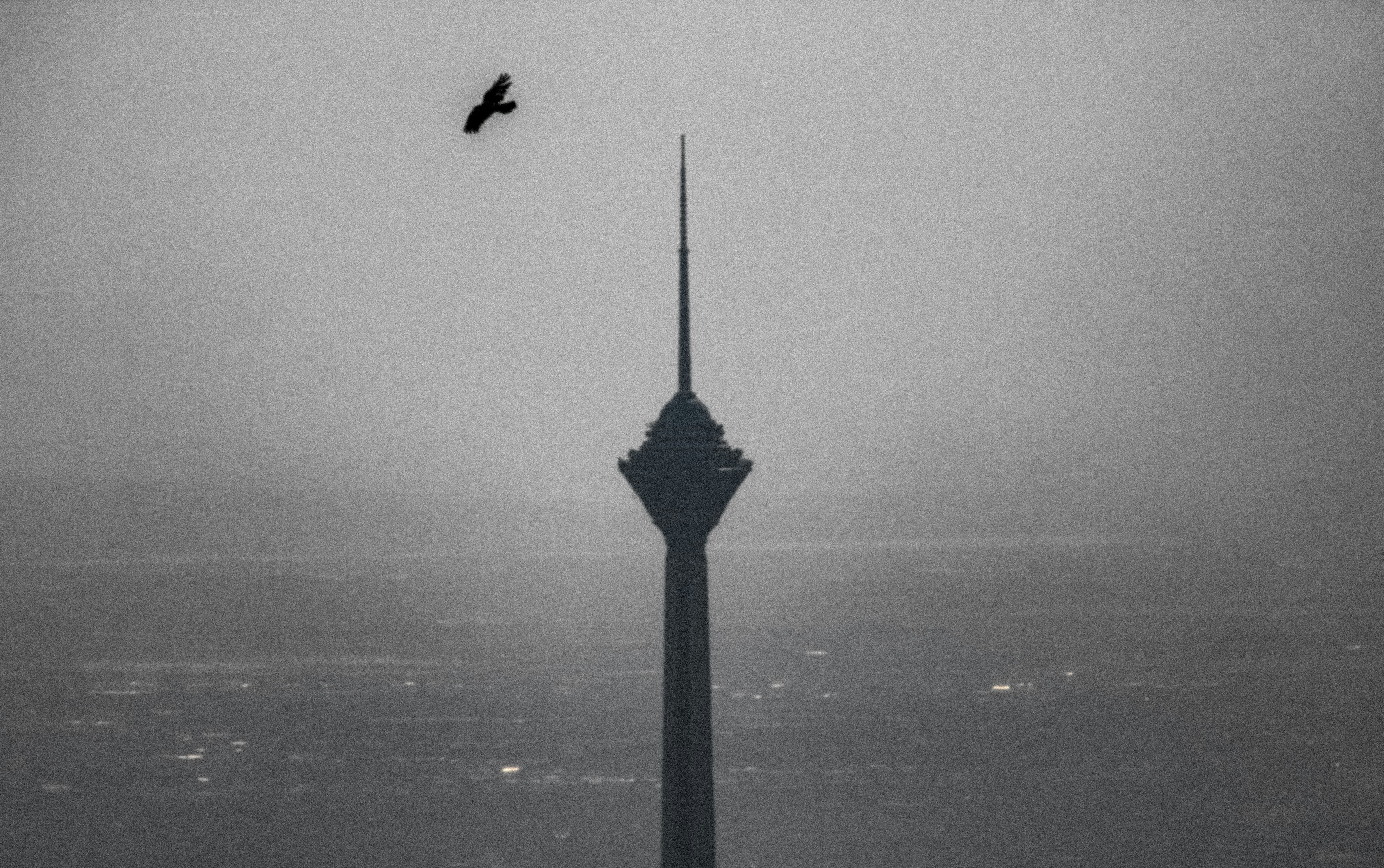 Soaring Silence: The Tower, the Bird, and a Distant Horizon