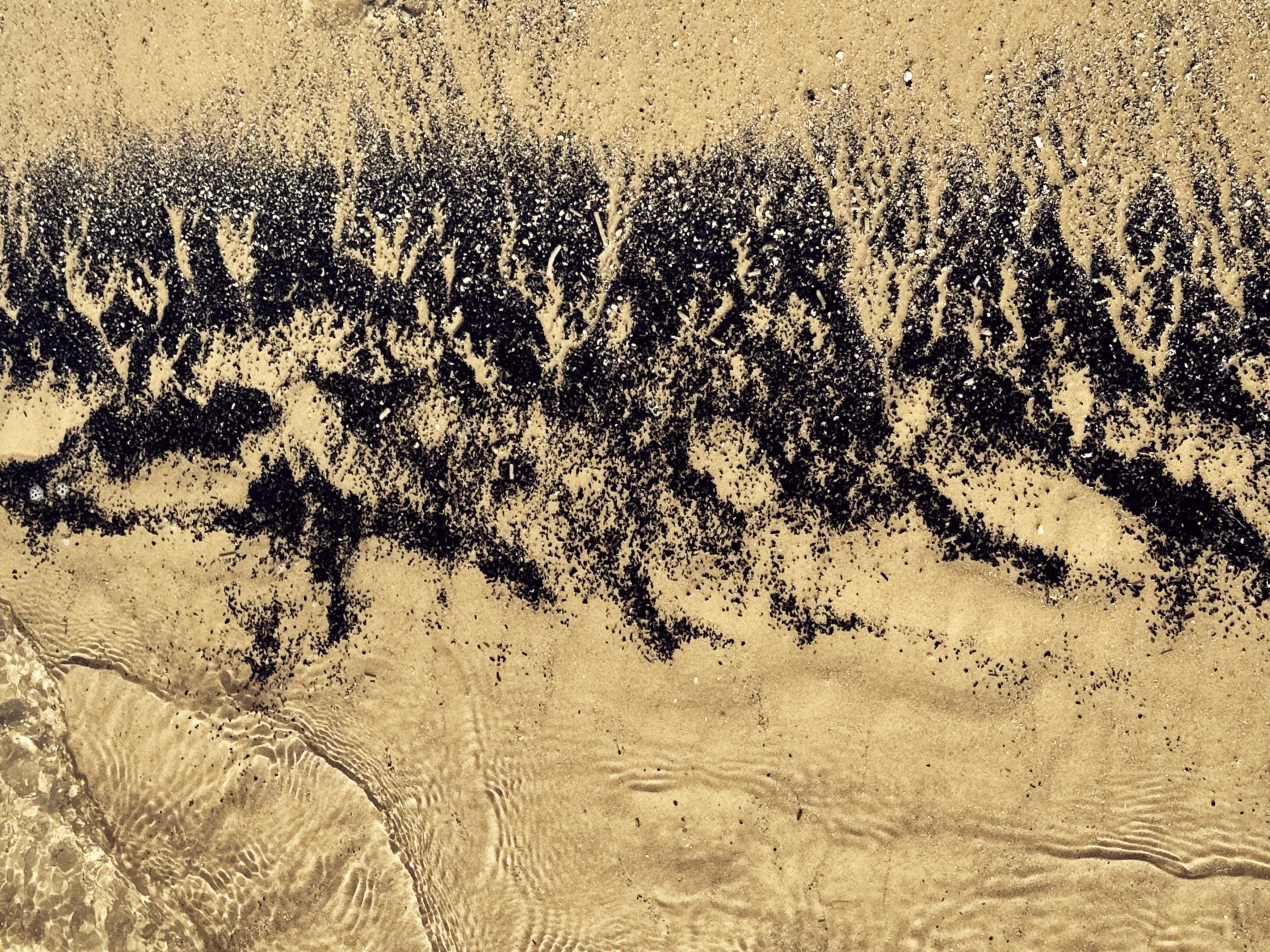 Ridges in the Sand: A Desert Texture at Dusk