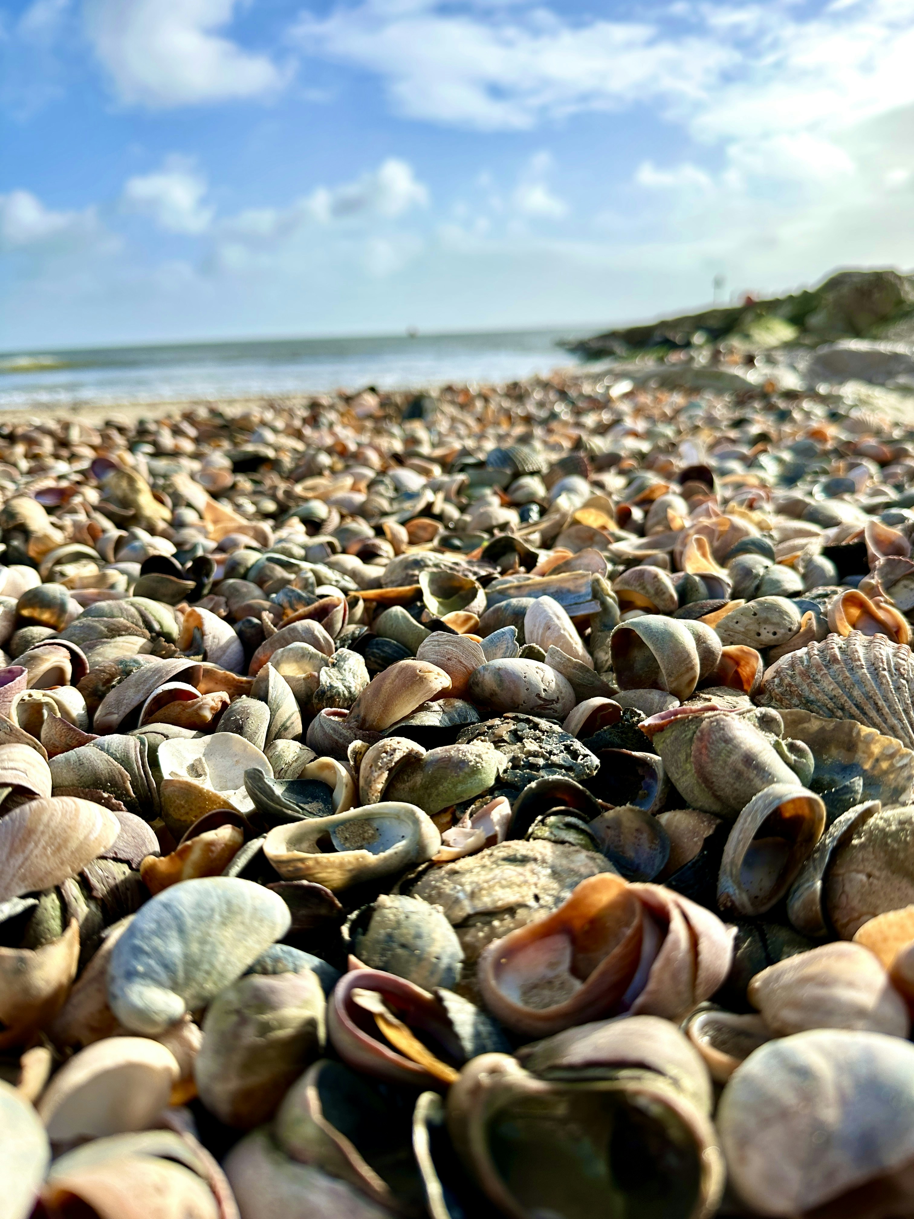 Pebble mosaic on a sunlit shoreline
