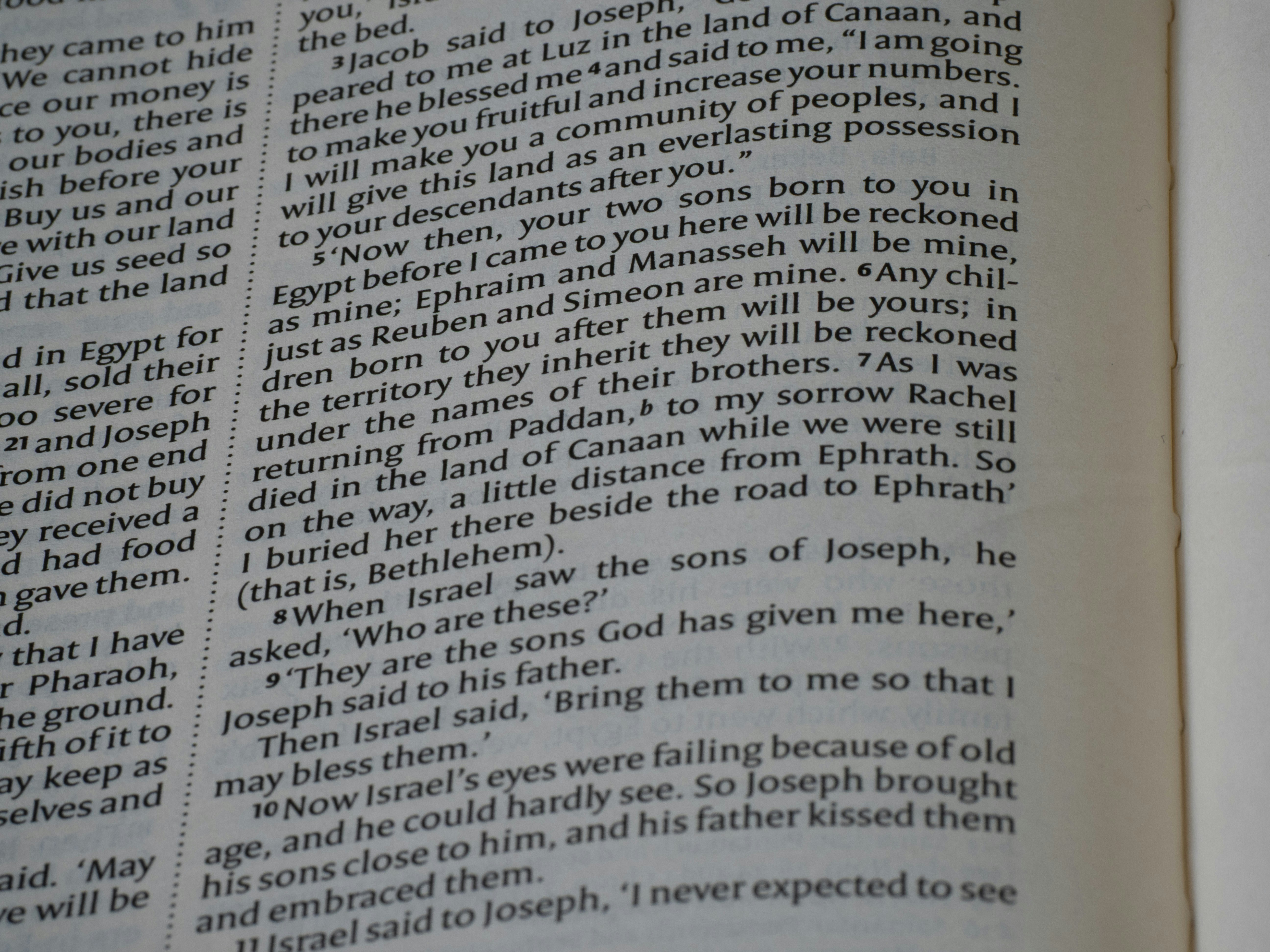 Raised Script: A Page of Biblical Verse Curled with Time-worn Ink