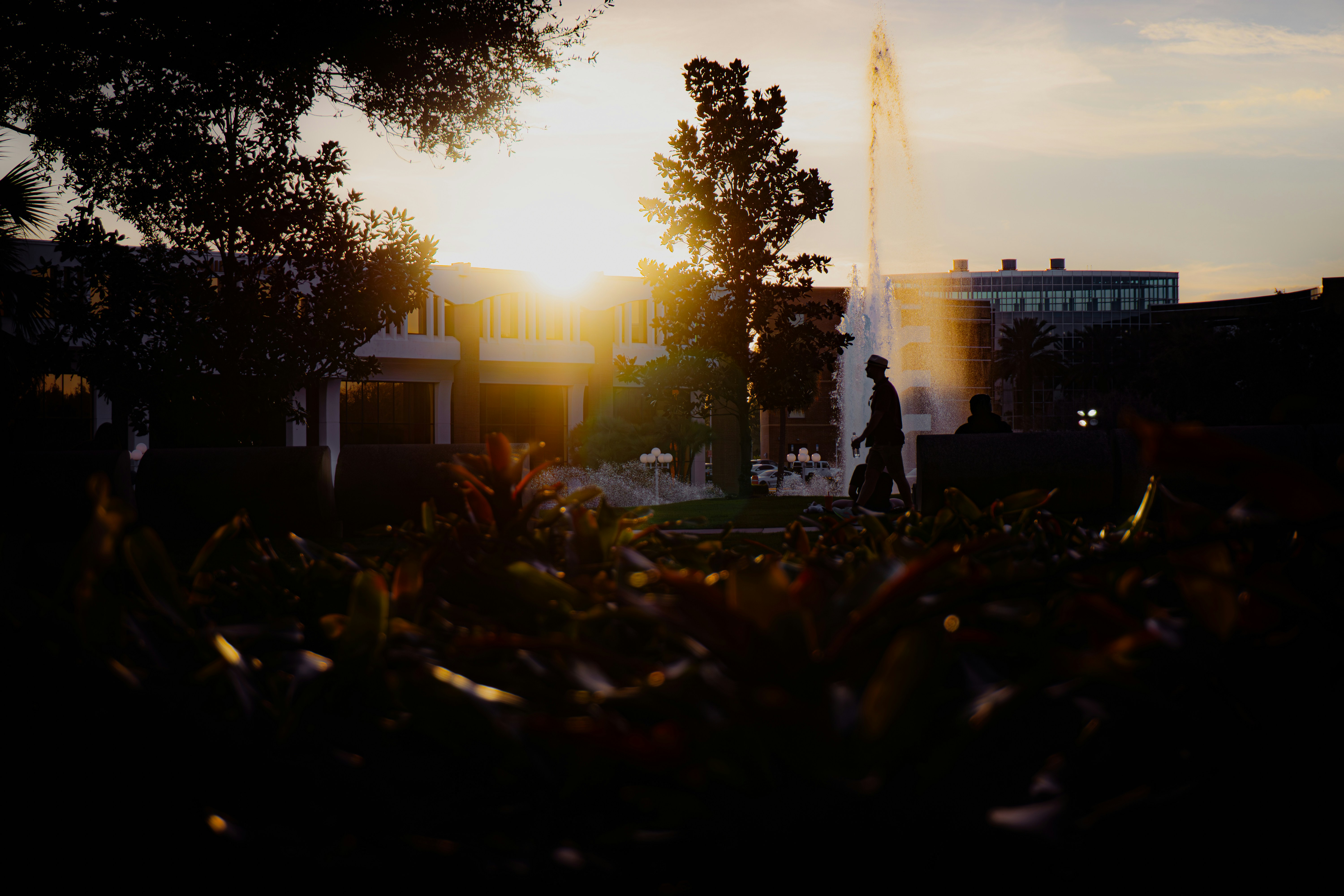 Silhouette by the Fountain at Sunset