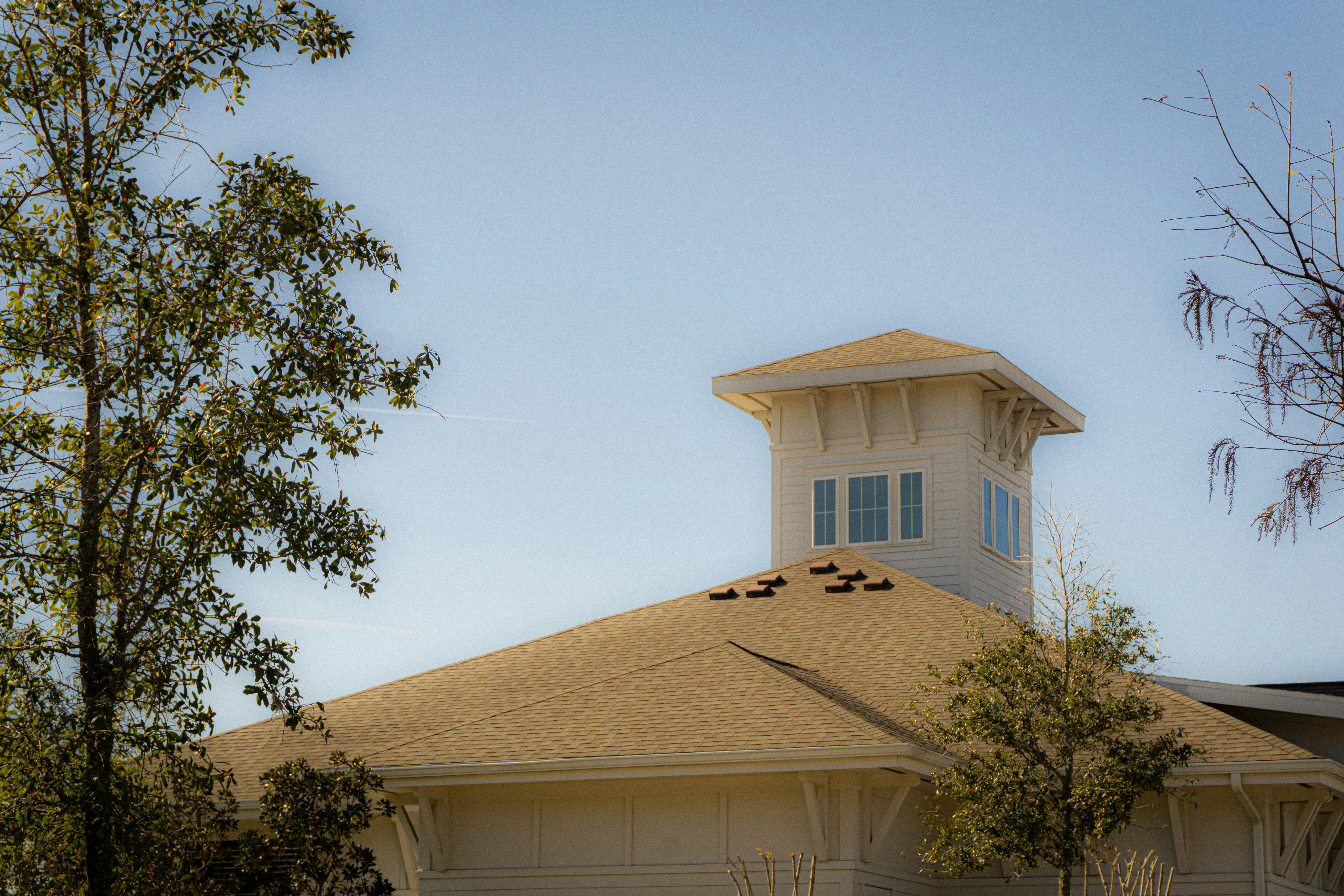 Watchtower Crest: A Quiet Rooftop Haven Above the Evergreen Canopy