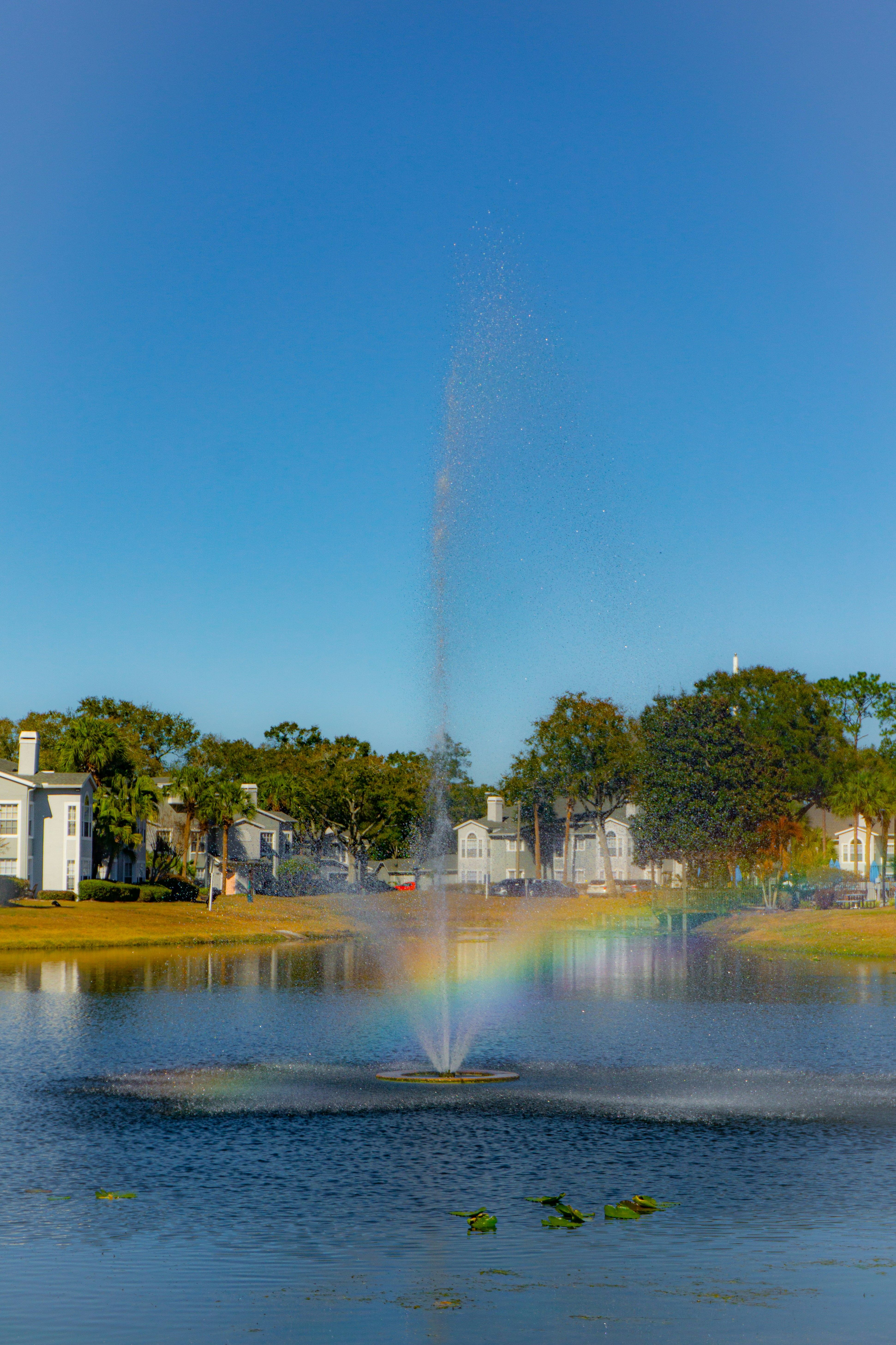 Colorful Cascade: Neighborhood Fountain Reach from the Lake