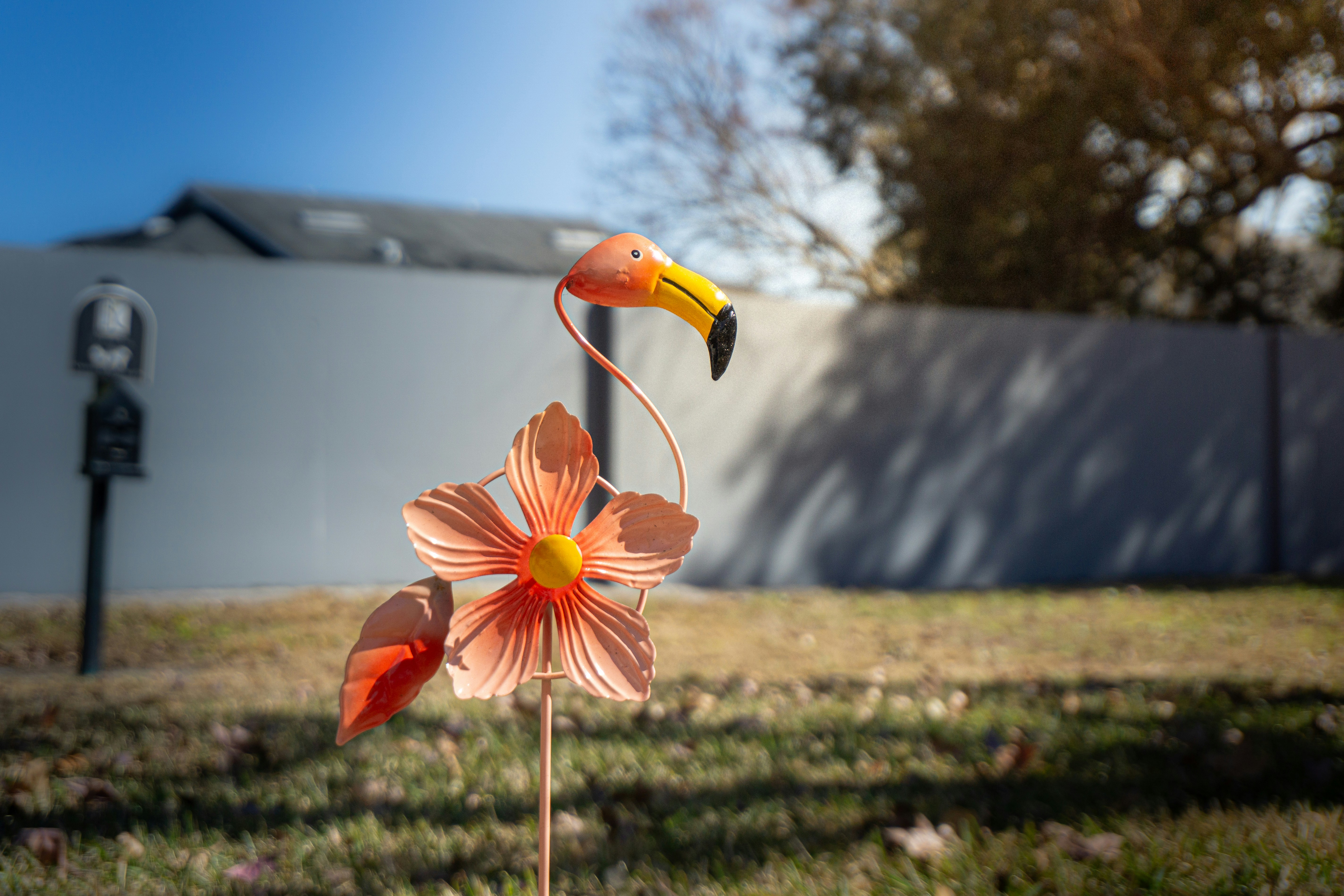 Sunlit Flamingo and Flower: A Quiet Backyard Moment