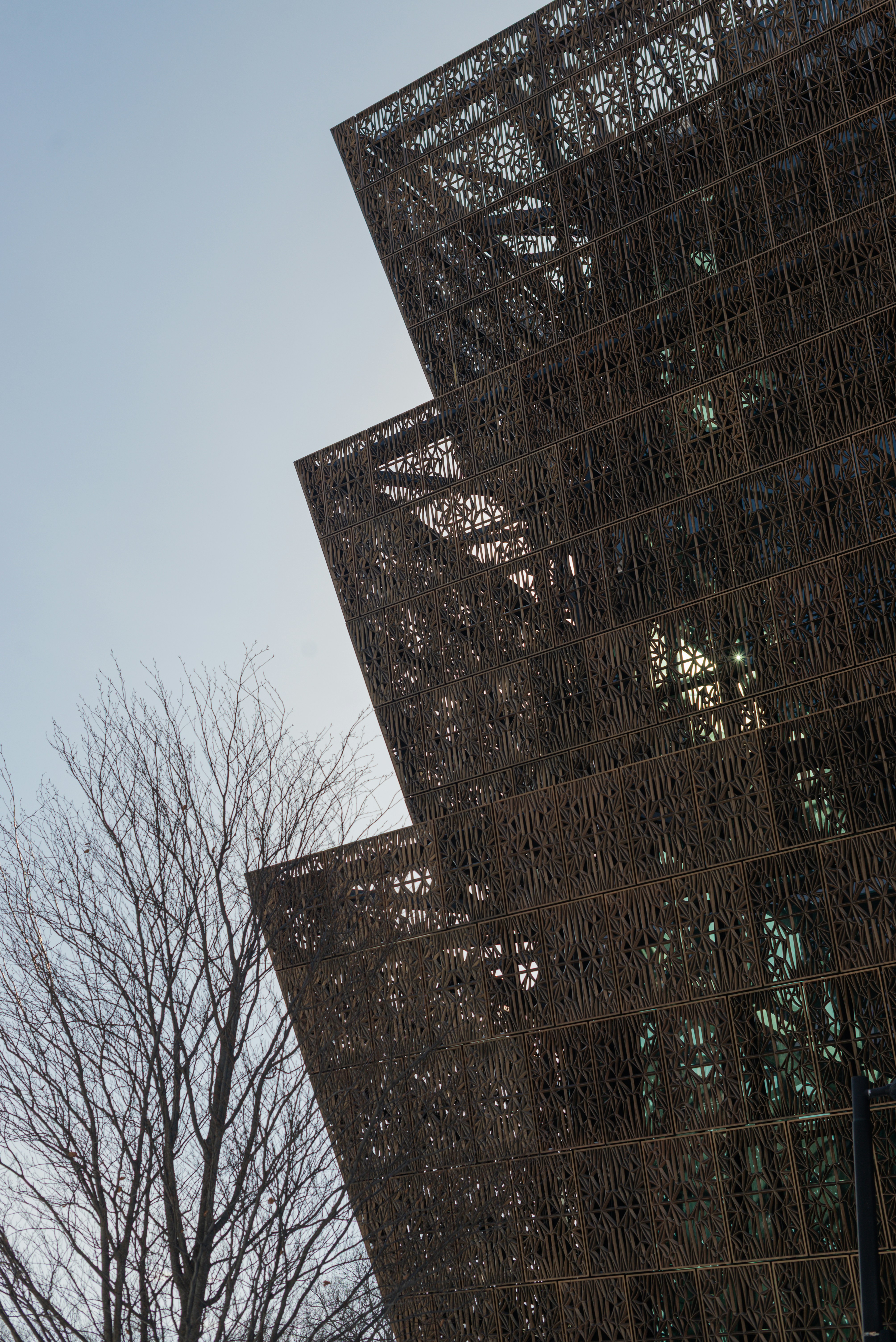 Architectural Lace: a stepped steel lattice tower flying above leafless branches