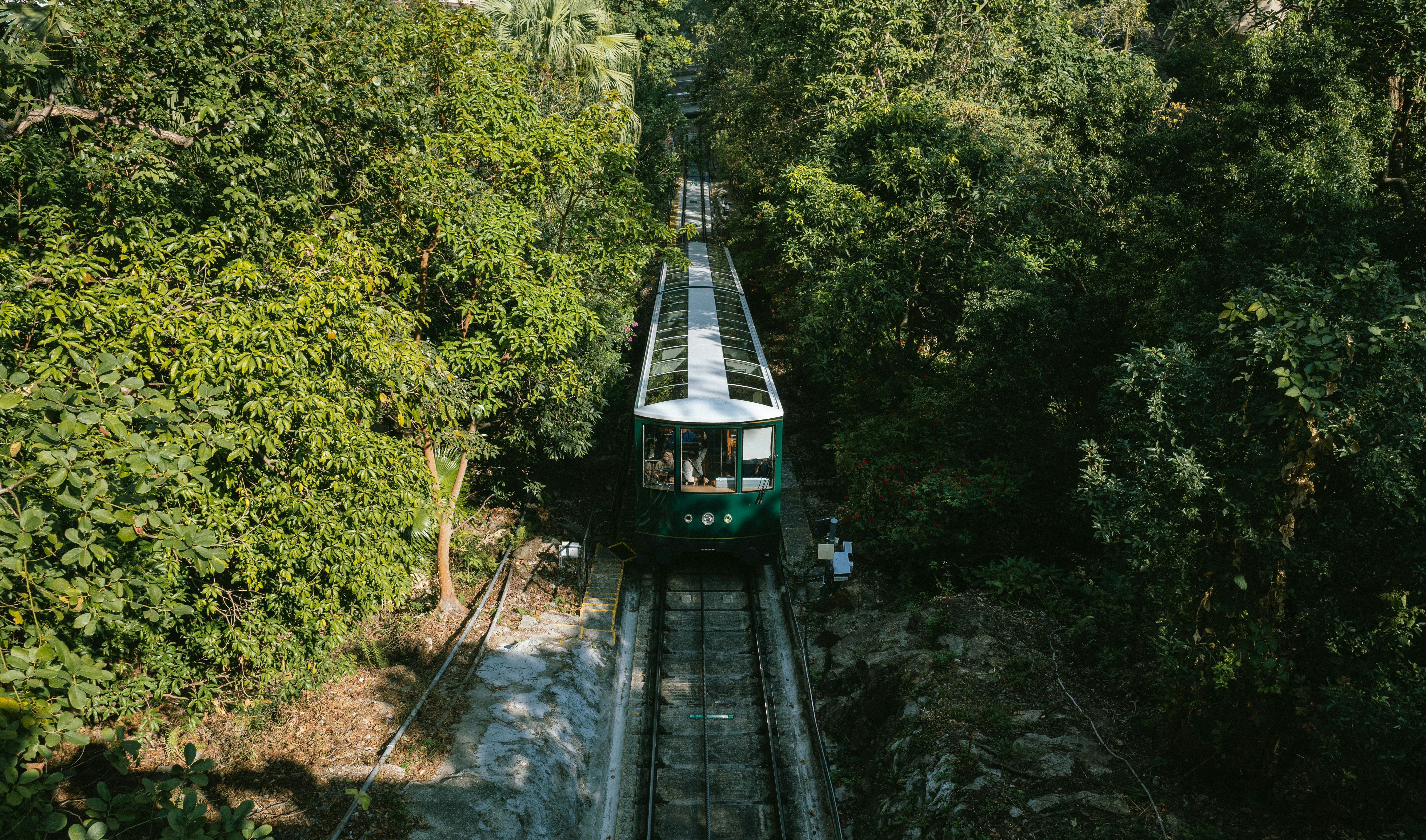 Midnight green tram threading a leafy canyon