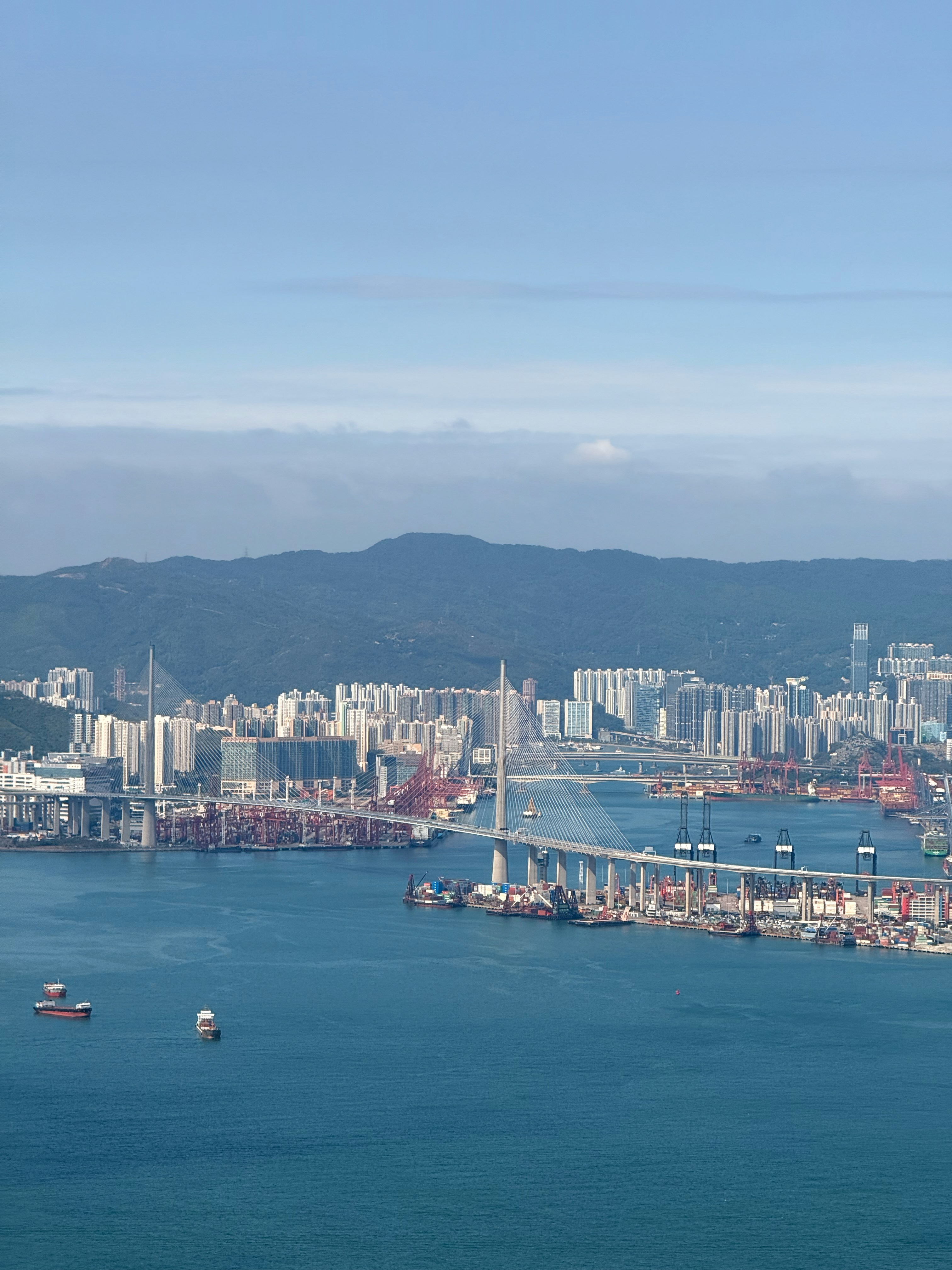 Cable-stayed bridge threading a coastal metropolis