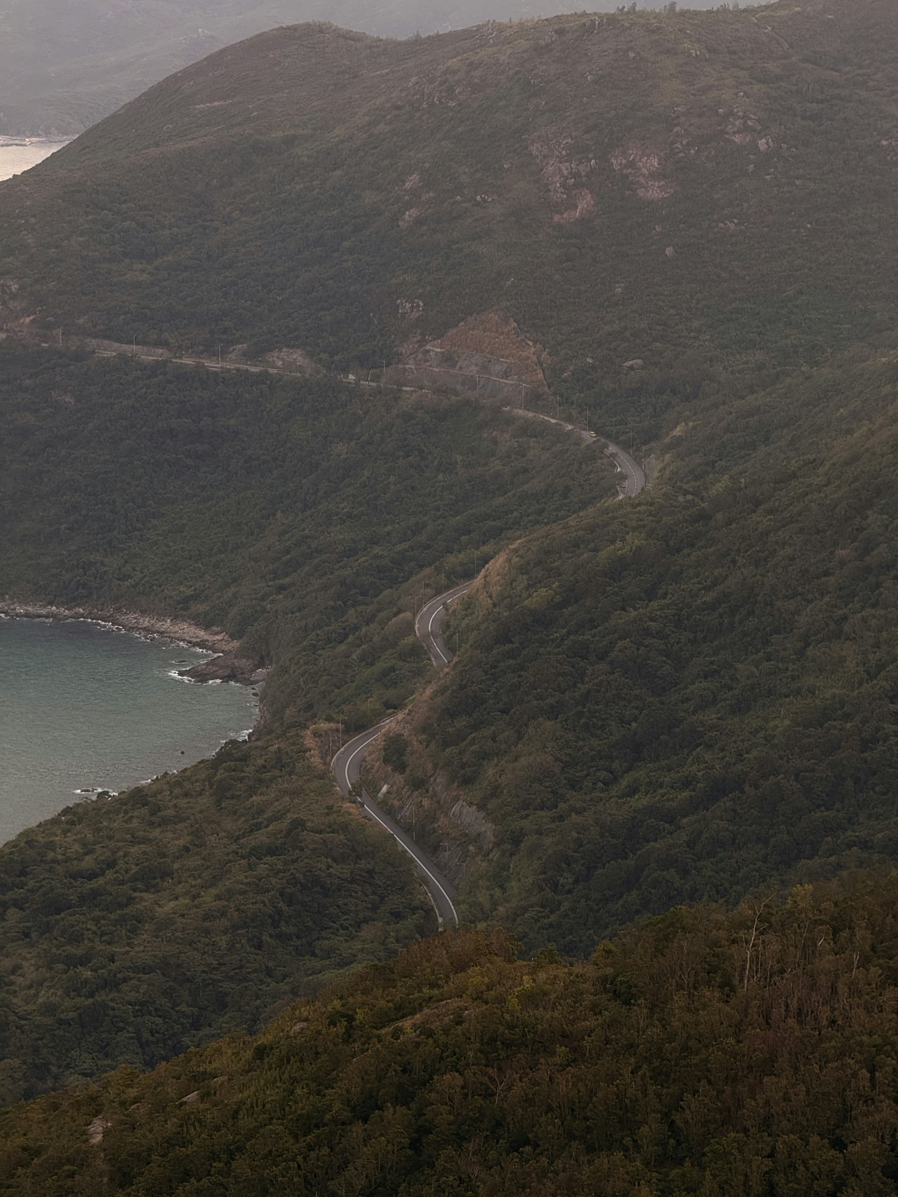 Winding Coastal Road Carves Through Cliffside Forest
