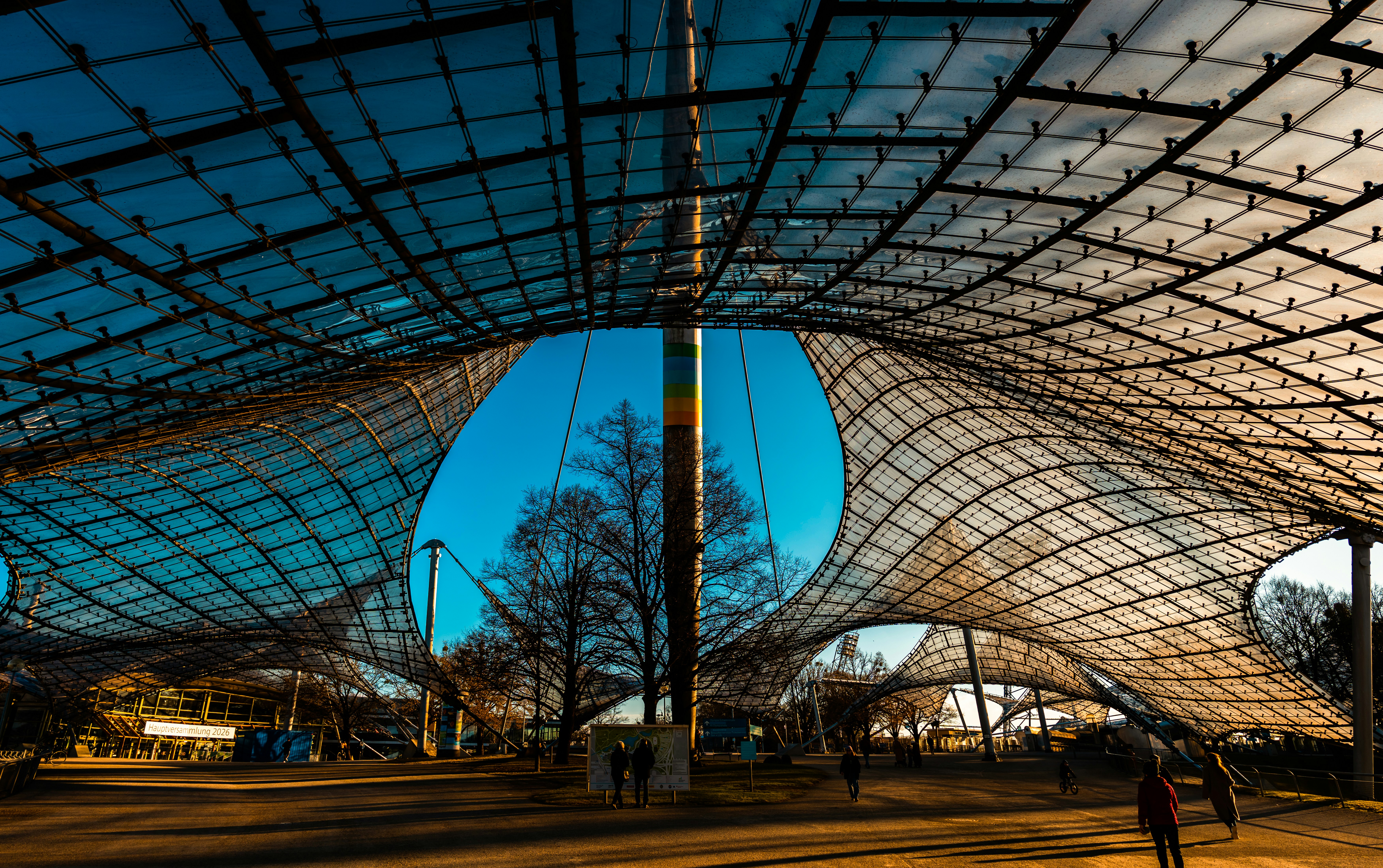 Vaulted Glass Canopy Overhead: A Playground of Light and Structure