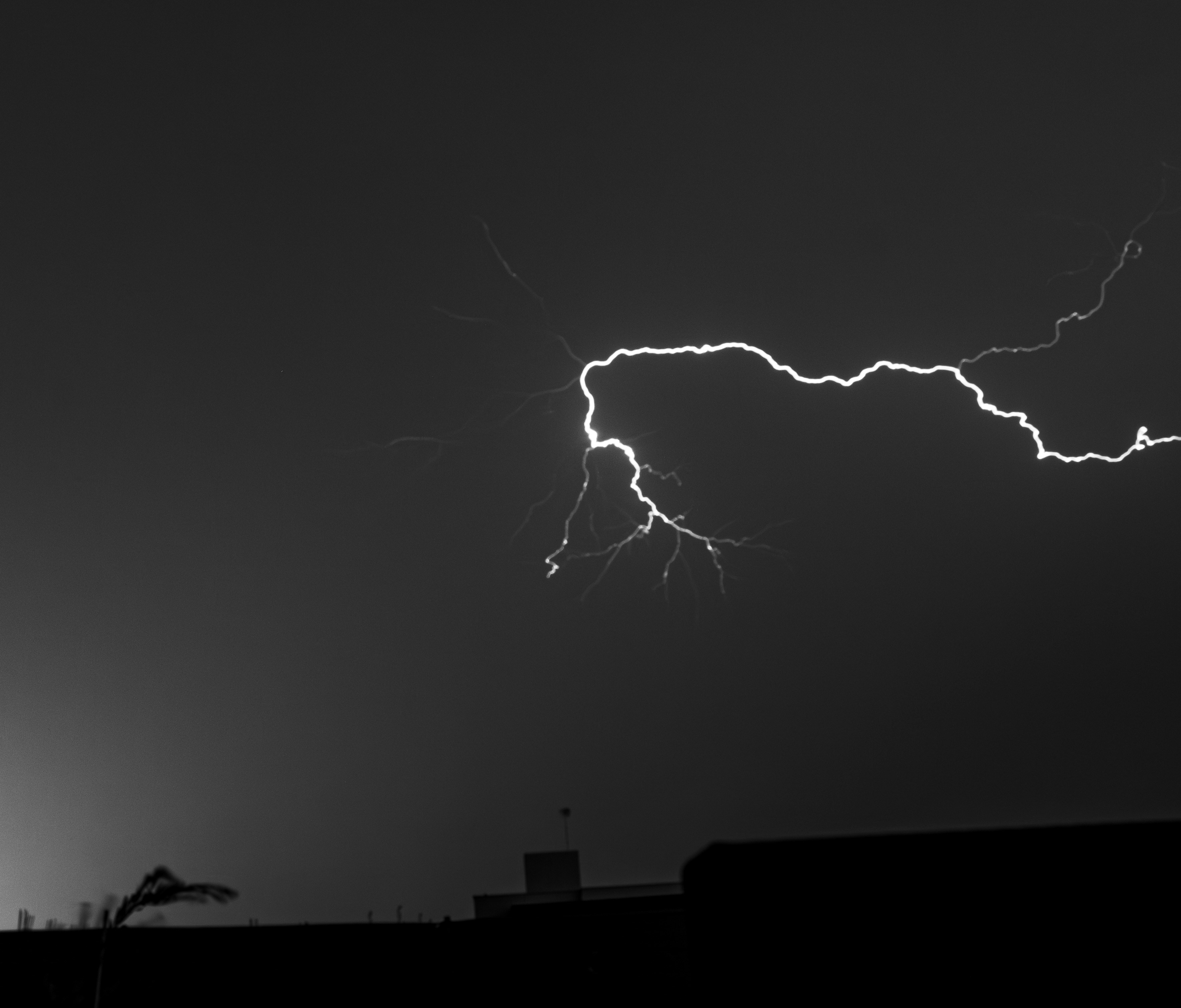 Electric Vein Across a Night Sky